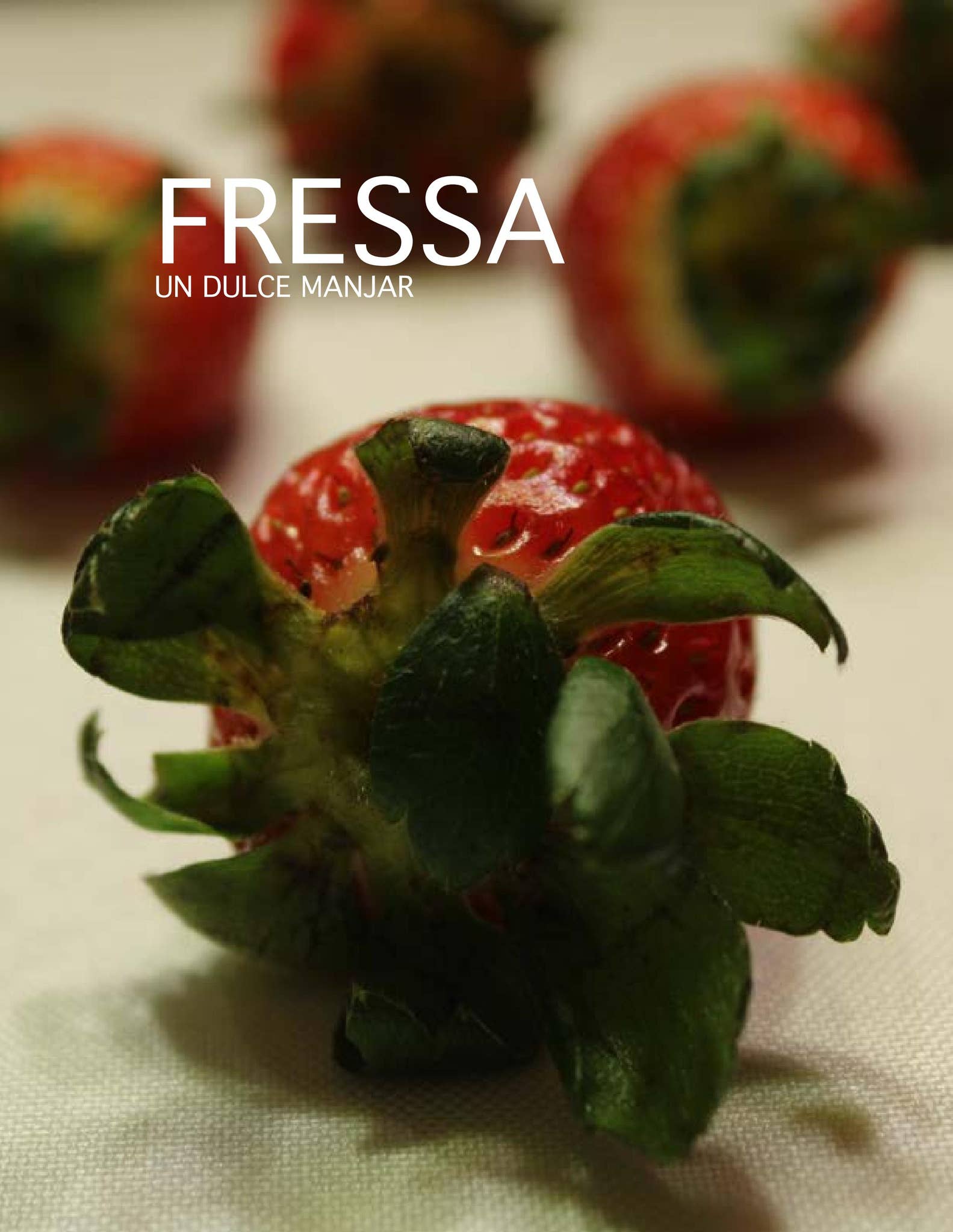 FRESSA by Andrea Ocaña - Issuu