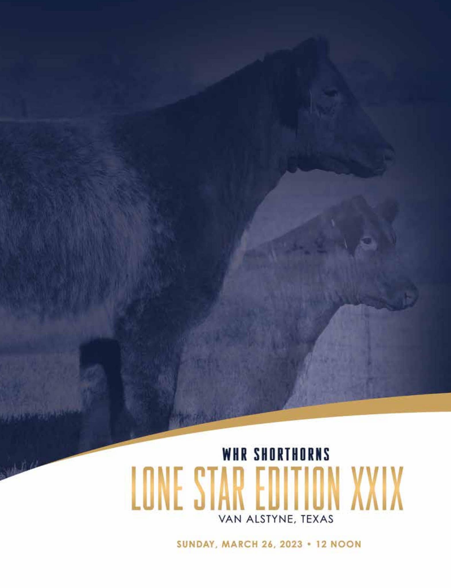 2023 WHR Lone Star Edition by SCI - Stephanie Cronin, INC - Issuu