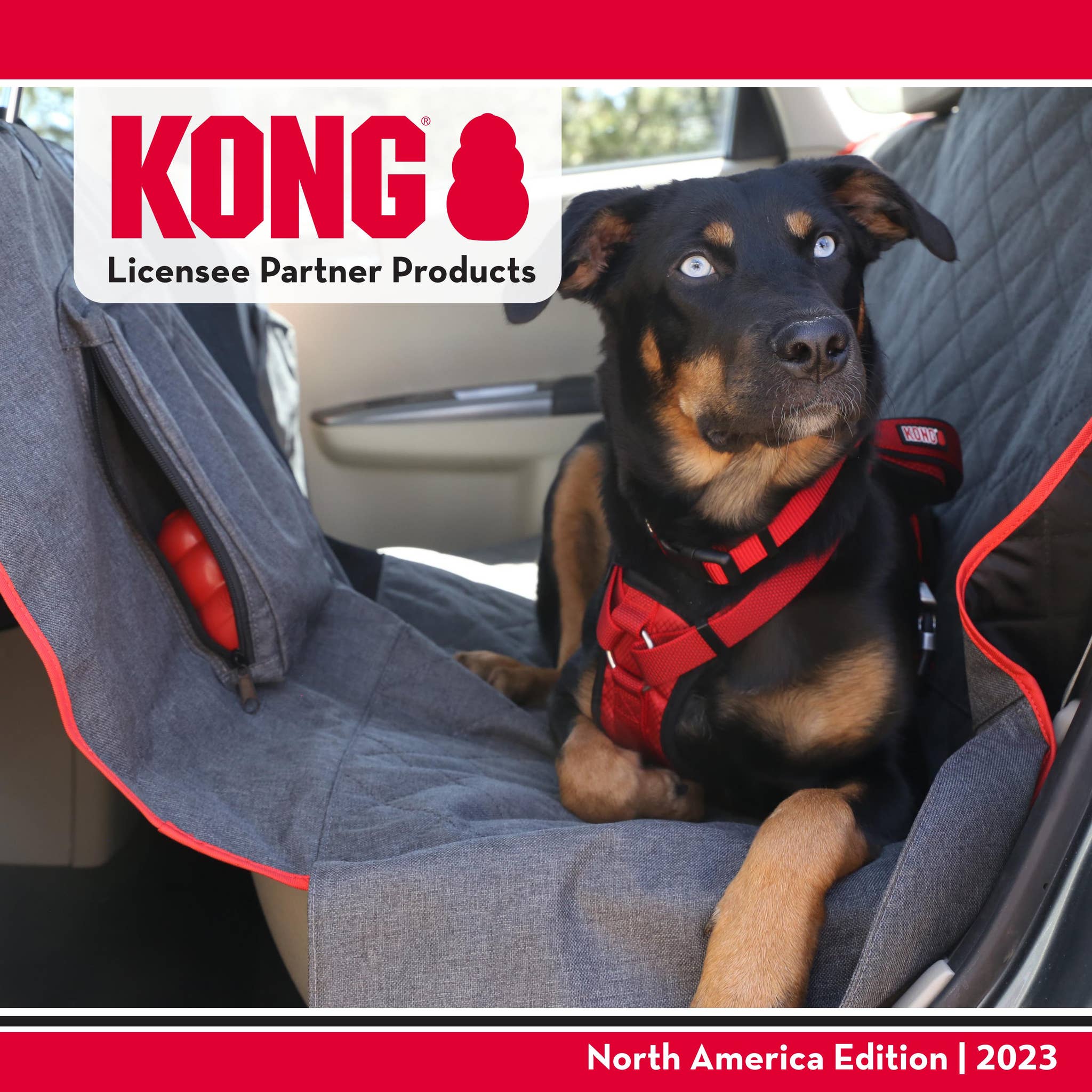 KONG Licensee Partner Products | North America Edition 2023 by KONG ...