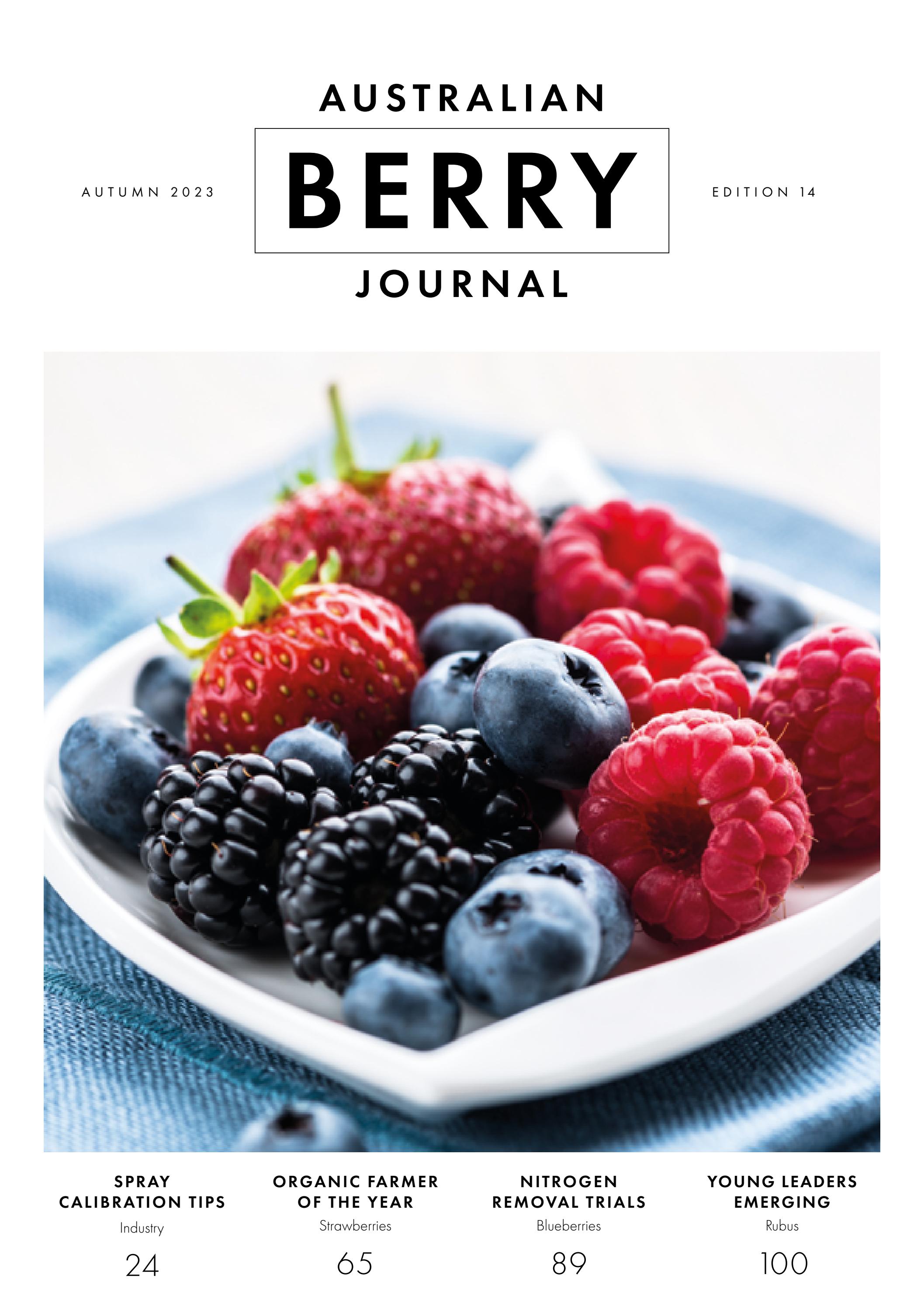 Woolworths Frozen Berries 1kg In Stock | www.oceanproperty.co.th