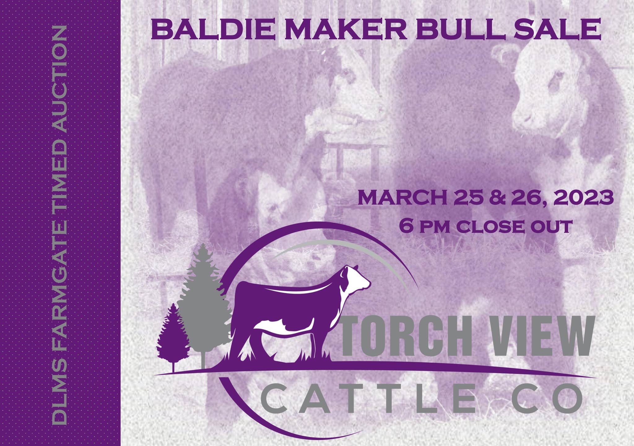 Torch View Cattle “Baldie Maker” Bull Sale - DLMS Farm Gate Timed ...
