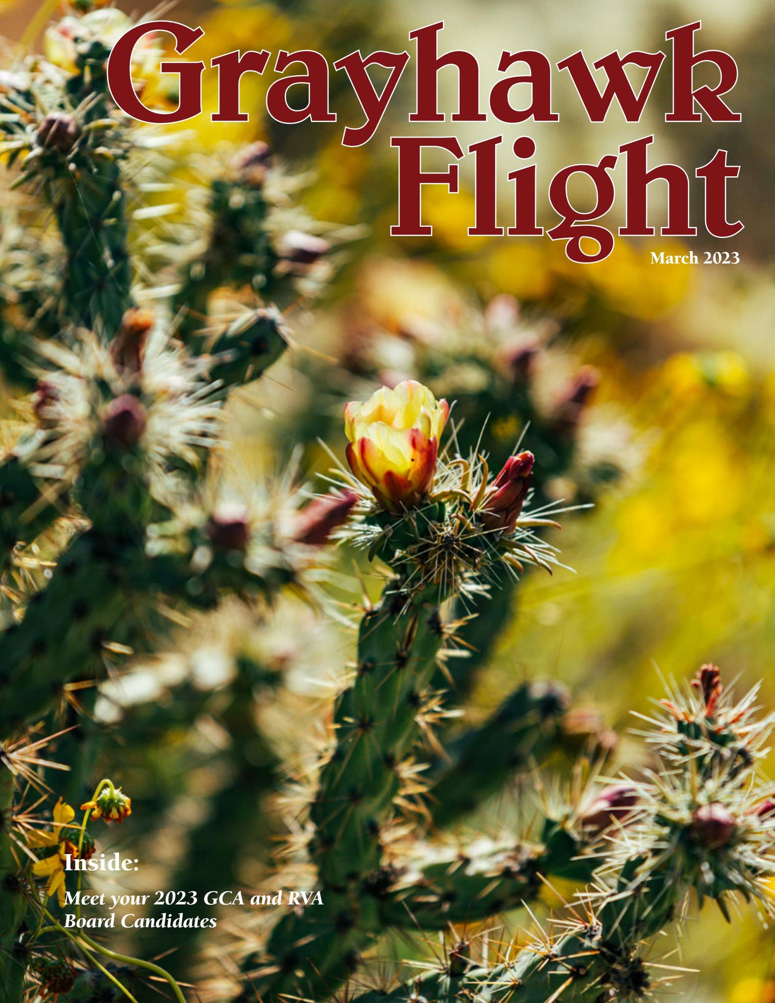 The Grayhawk Flight- March 2023 by Grayhawk Flight - Issuu