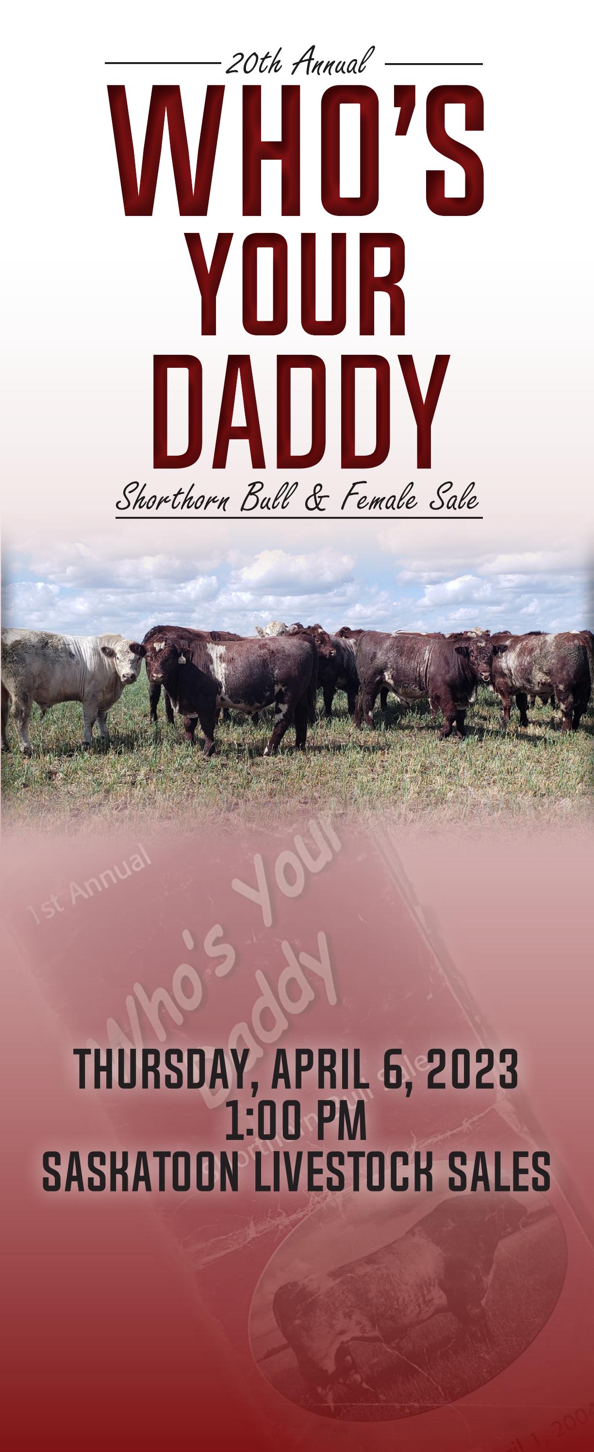 20th Annual Who's Your Daddy Shorthorn Bull & Female Sale by Royce ...