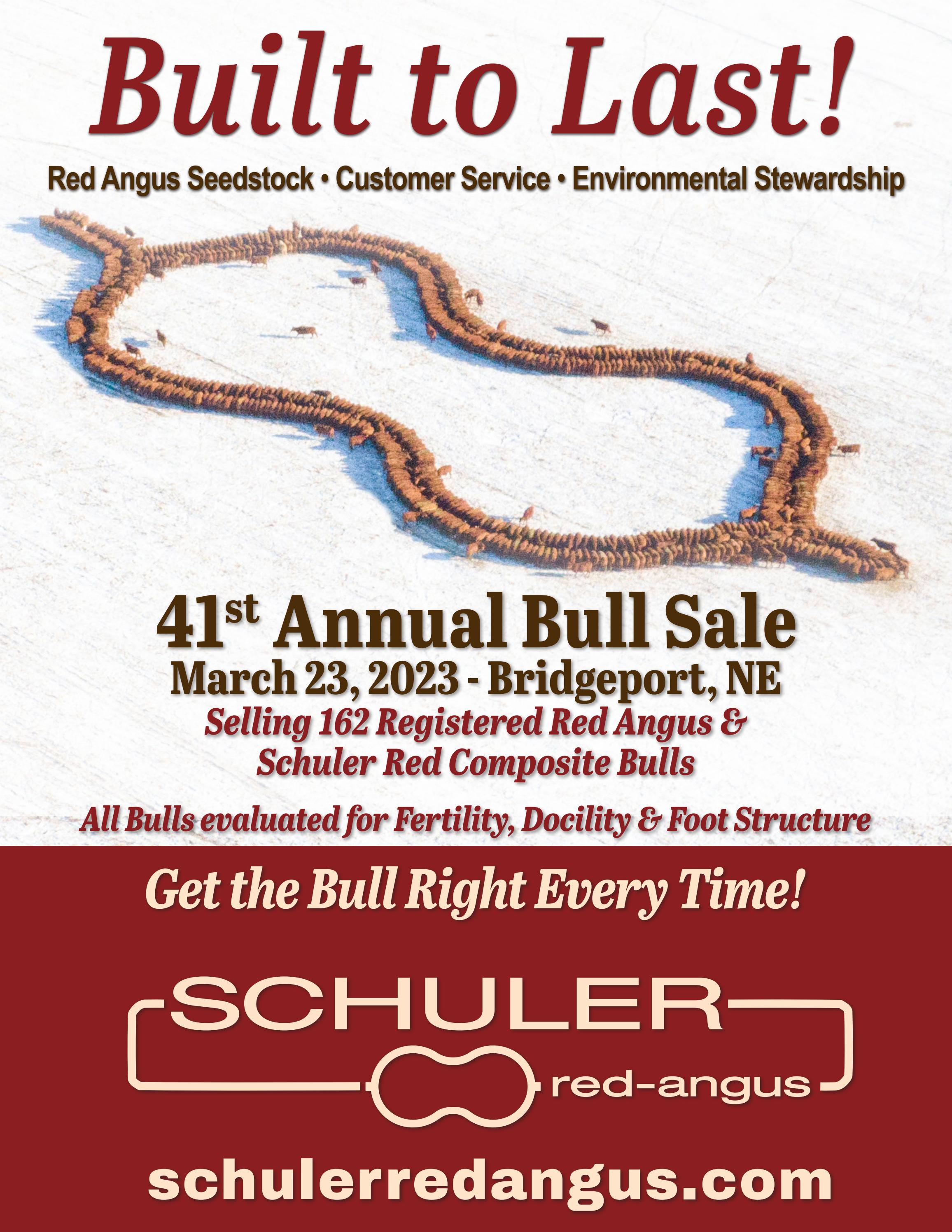 Schuler Red Angus - 2023 Spring Sale Catalog by LivestockDirect - Issuu