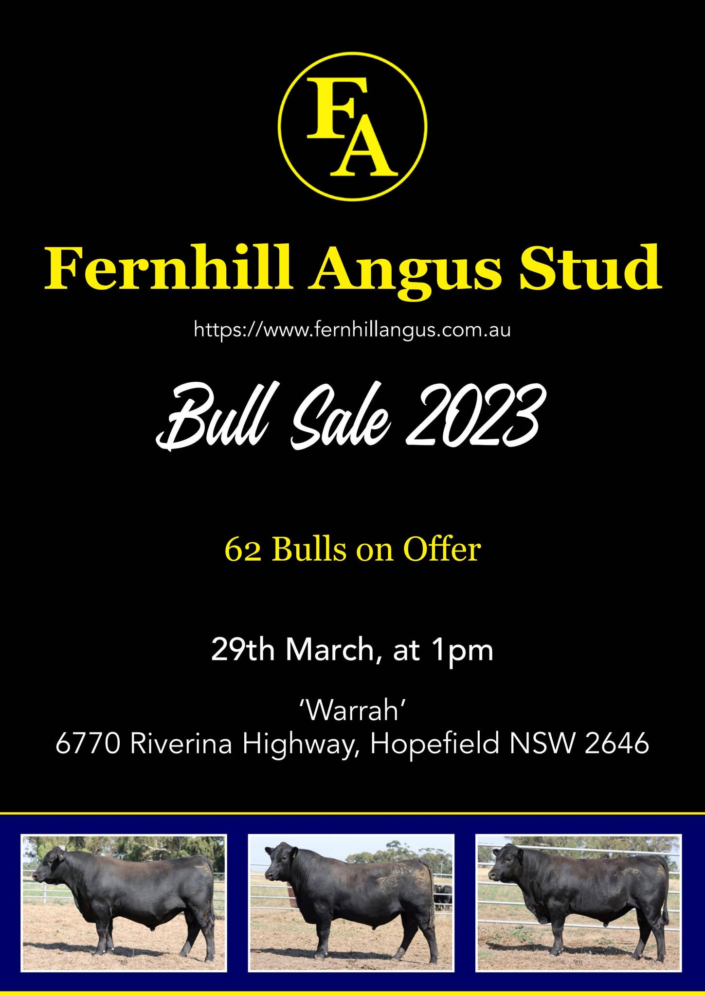 Fernhill Angus Stud Bull Sale by Angus Australia - Issuu