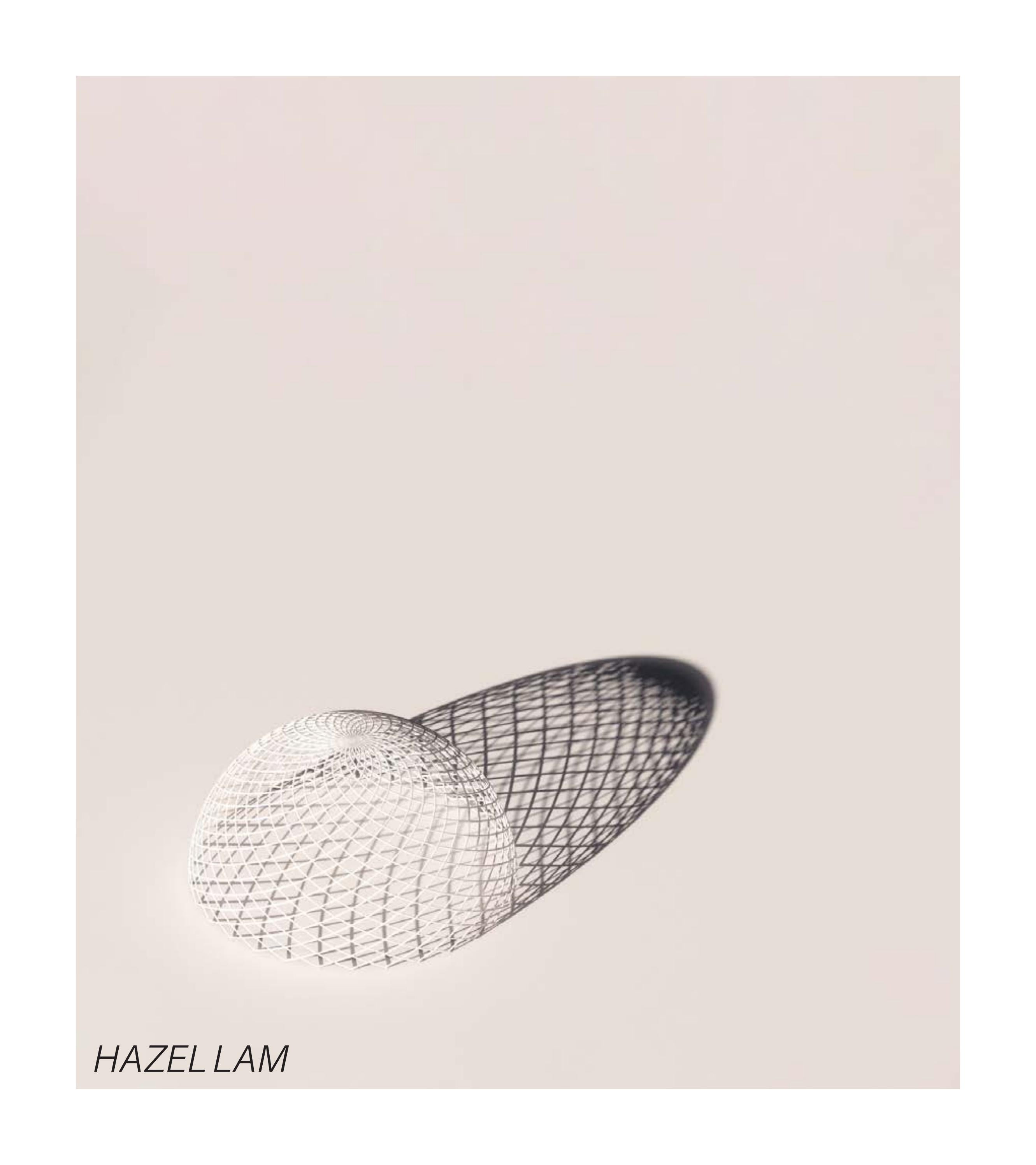 Hazel Lam Portfolio 2023 by htl27 - Issuu