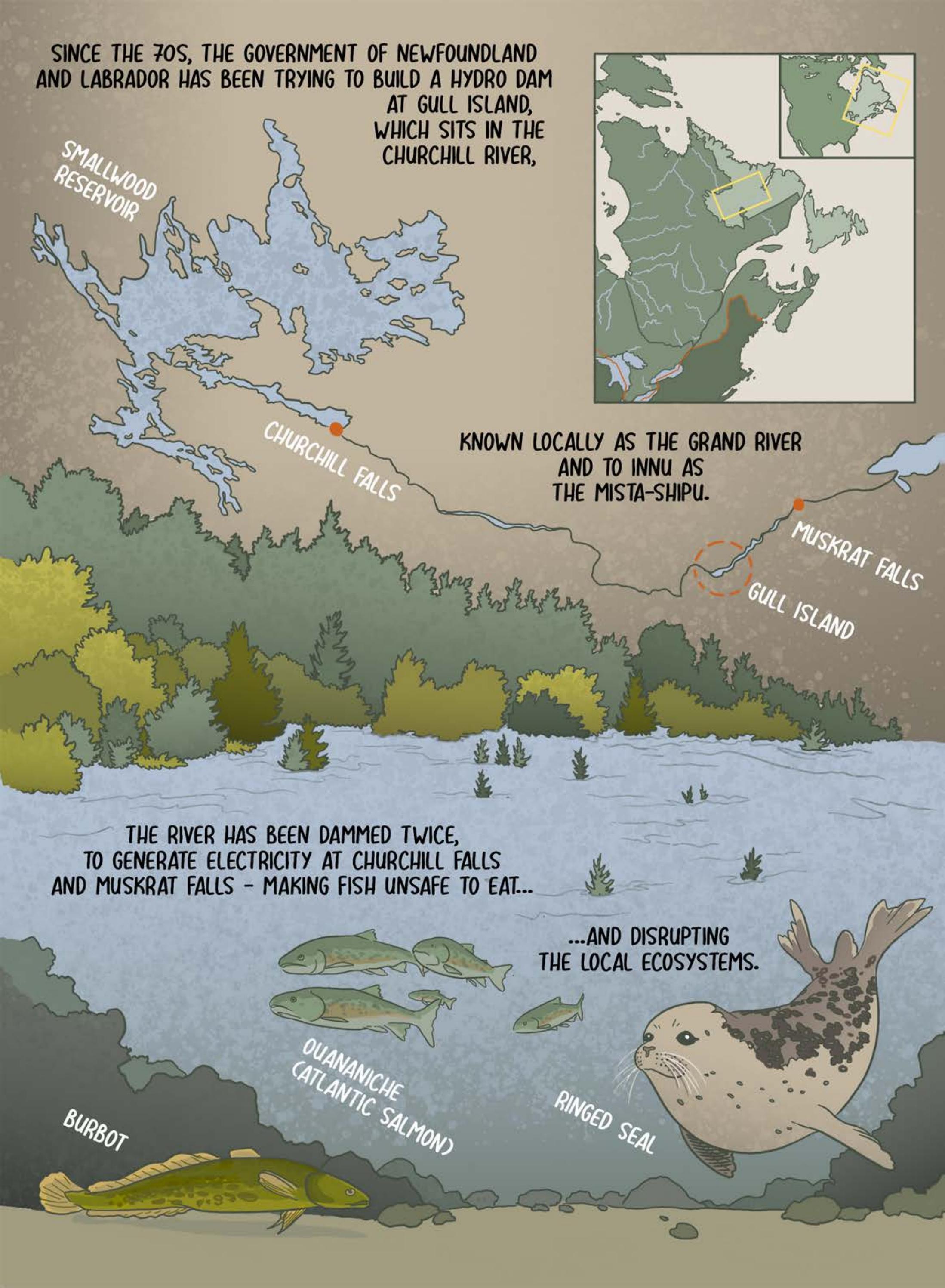 Mega-Damage: The Impact of Hydroelectric in Newfoundland & Labrador by ...