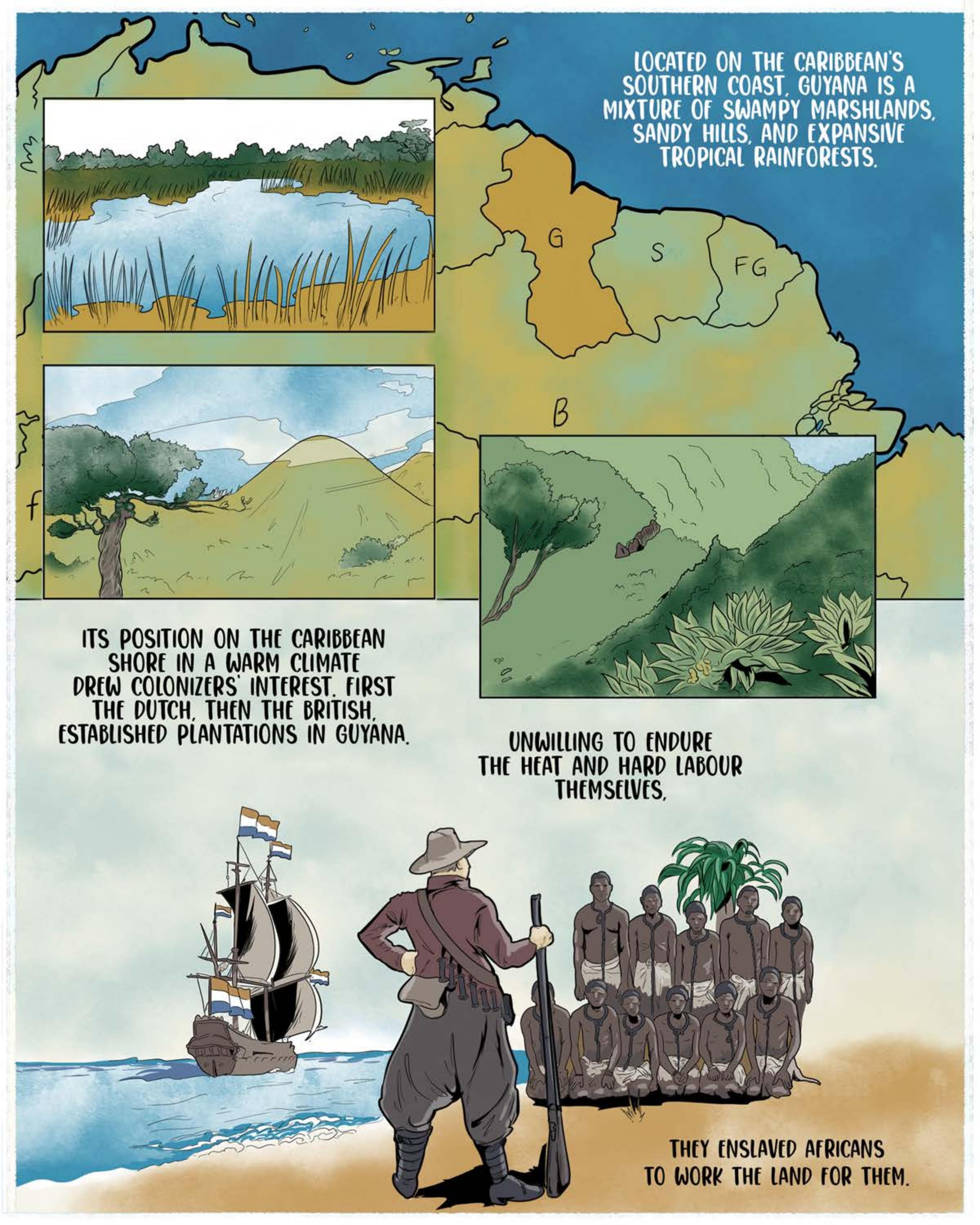 The Despotism of Sugar: Slavery and Freedom in Colonial Guyana by ...