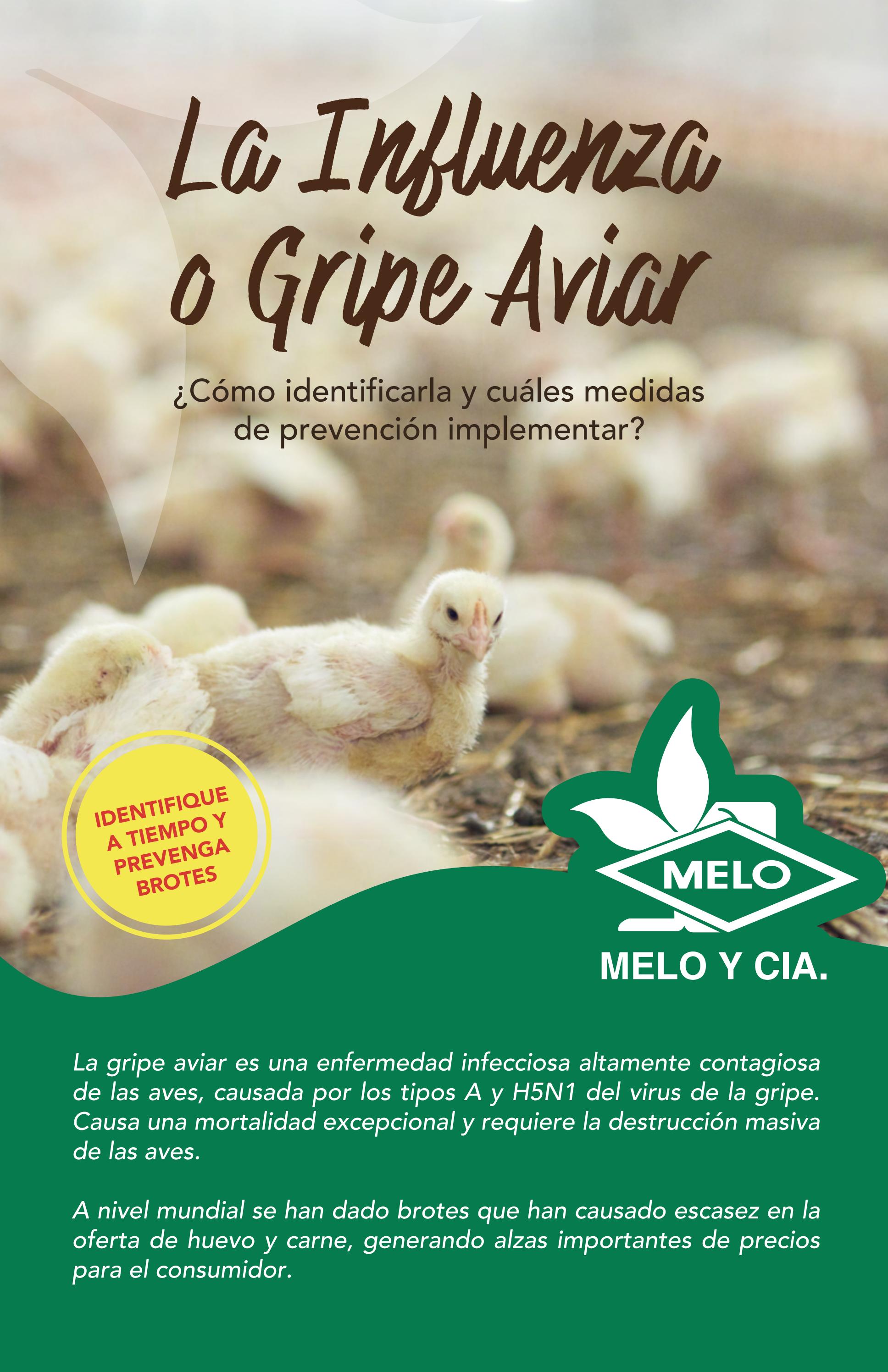Gripe Aviar by comasapanama - Issuu