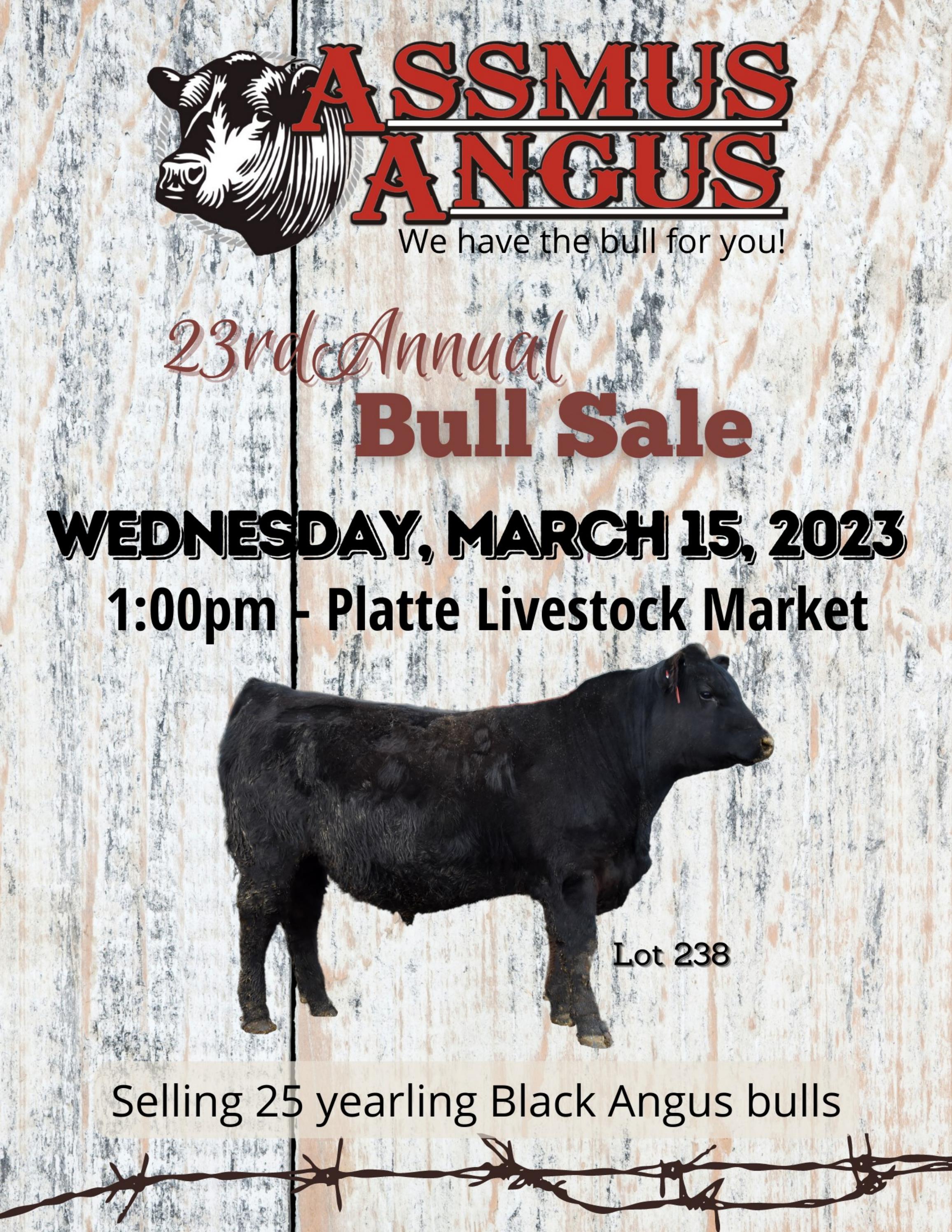 2023 Assmus Angus Bull Catalog by Assmus Angus - Issuu