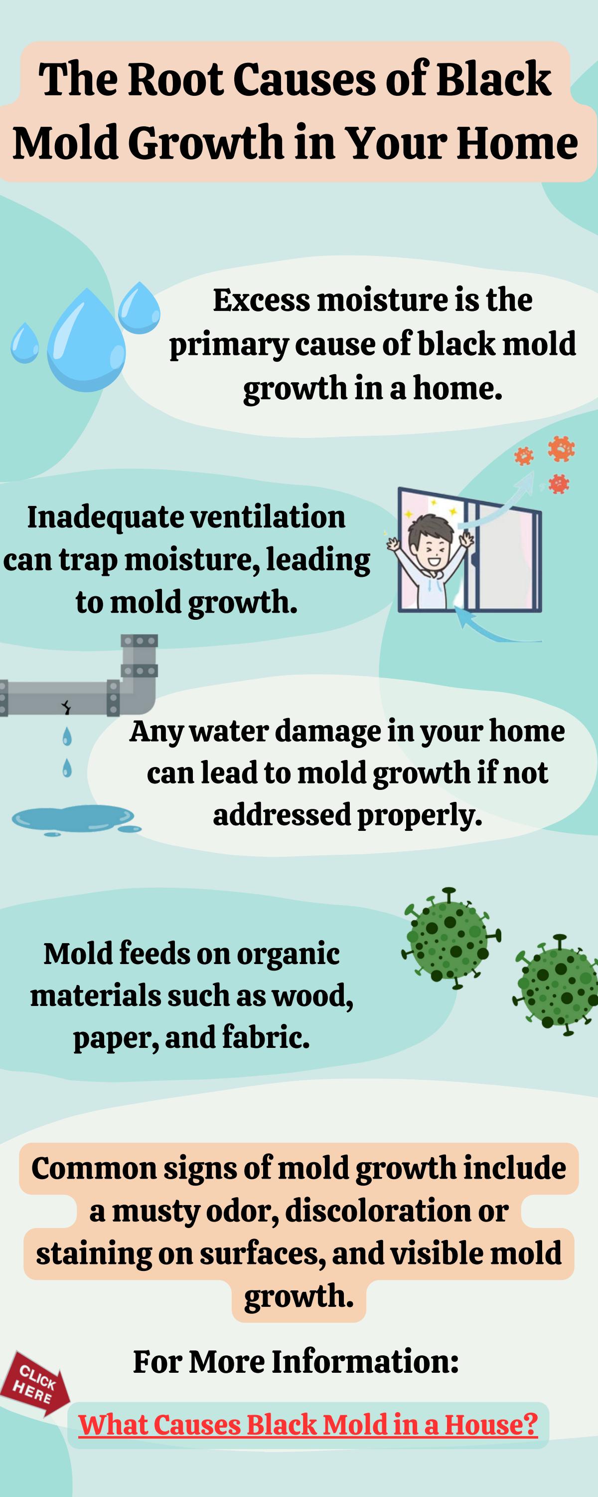 The Root Causes of Black Mold Growth in Your Home by JM Environmental ...