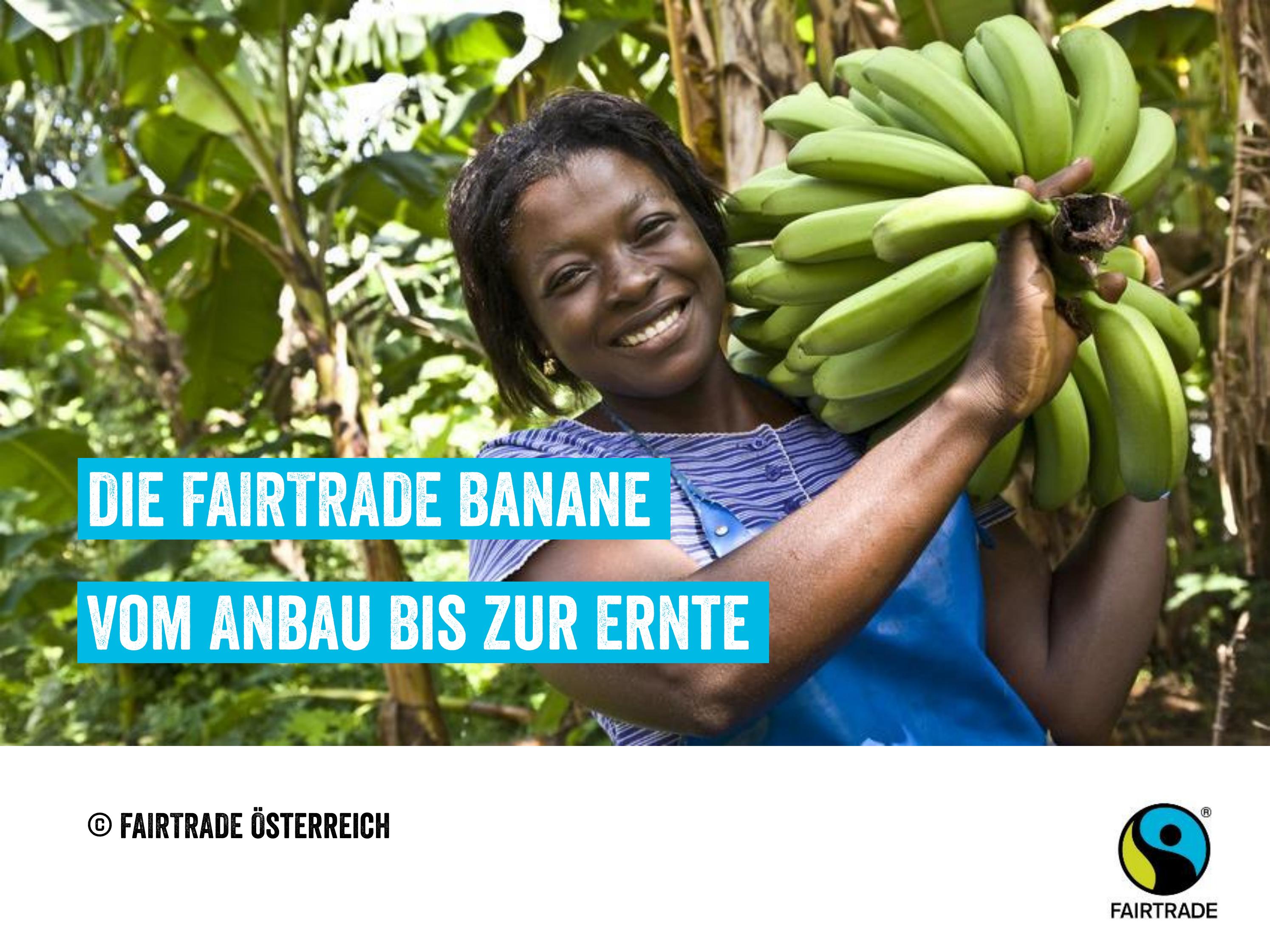 Präsentation Bananenanbau by fairtrade_at - Issuu
