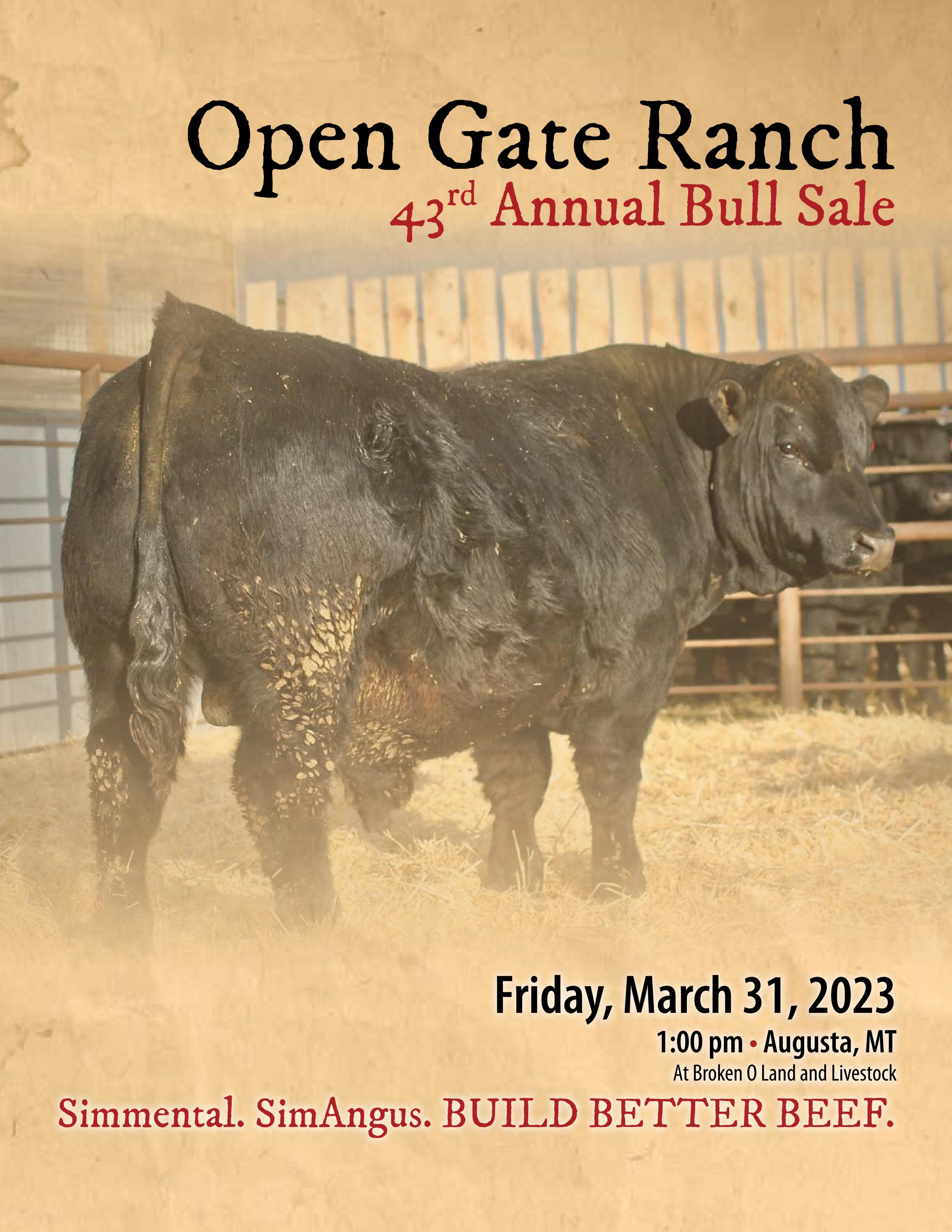 2023 Open Gate Ranch 43rd Annual Bull Sale by Julie Murnin - Issuu