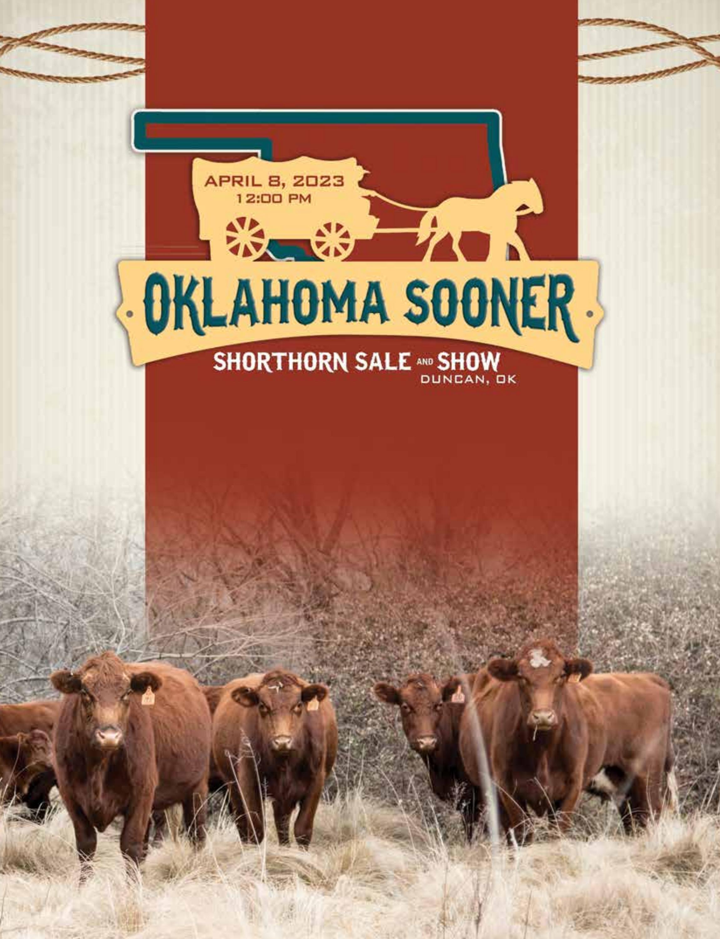 2023 Oklahoma Sooner Shorthorn Sale by SCI - Stephanie Cronin, INC - Issuu