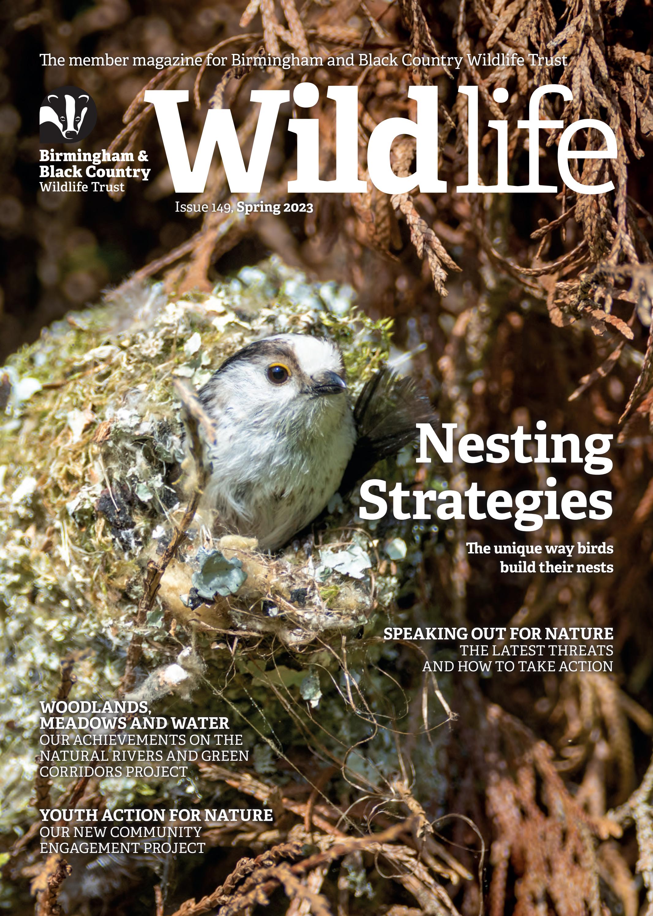 Wildlife Issue 149 by bbcwildlifetrust - Issuu