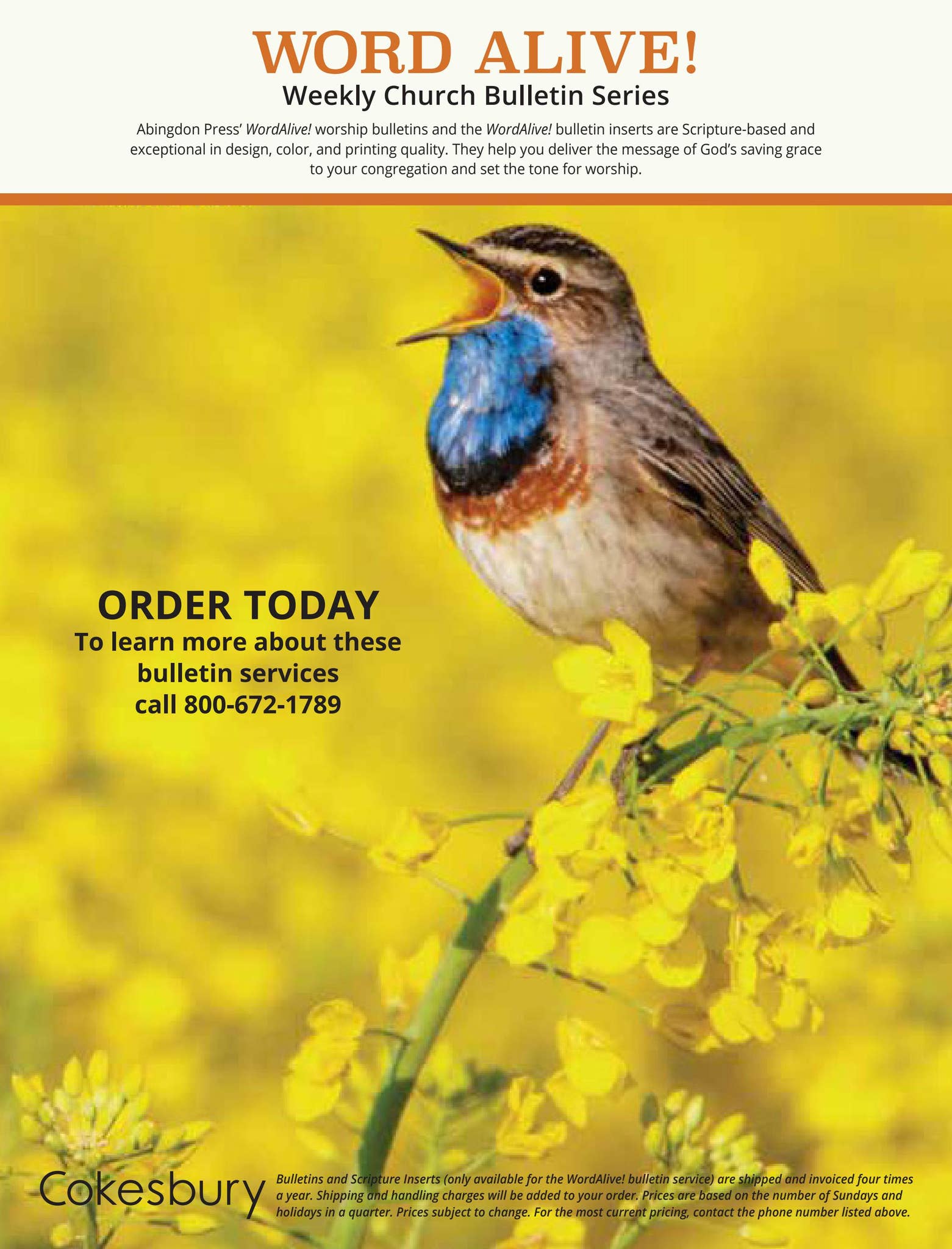 Word Alive Weekly Church Bulletin Series by United Methodist Publishing ...