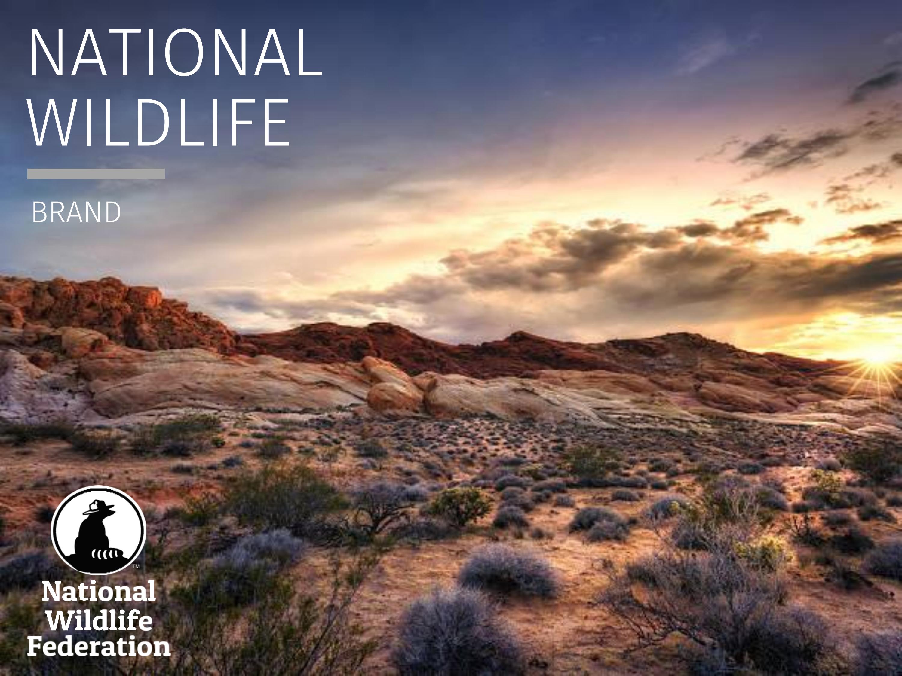National Wildlife Federation | Brand Book by Jewel Branding & Licensing ...