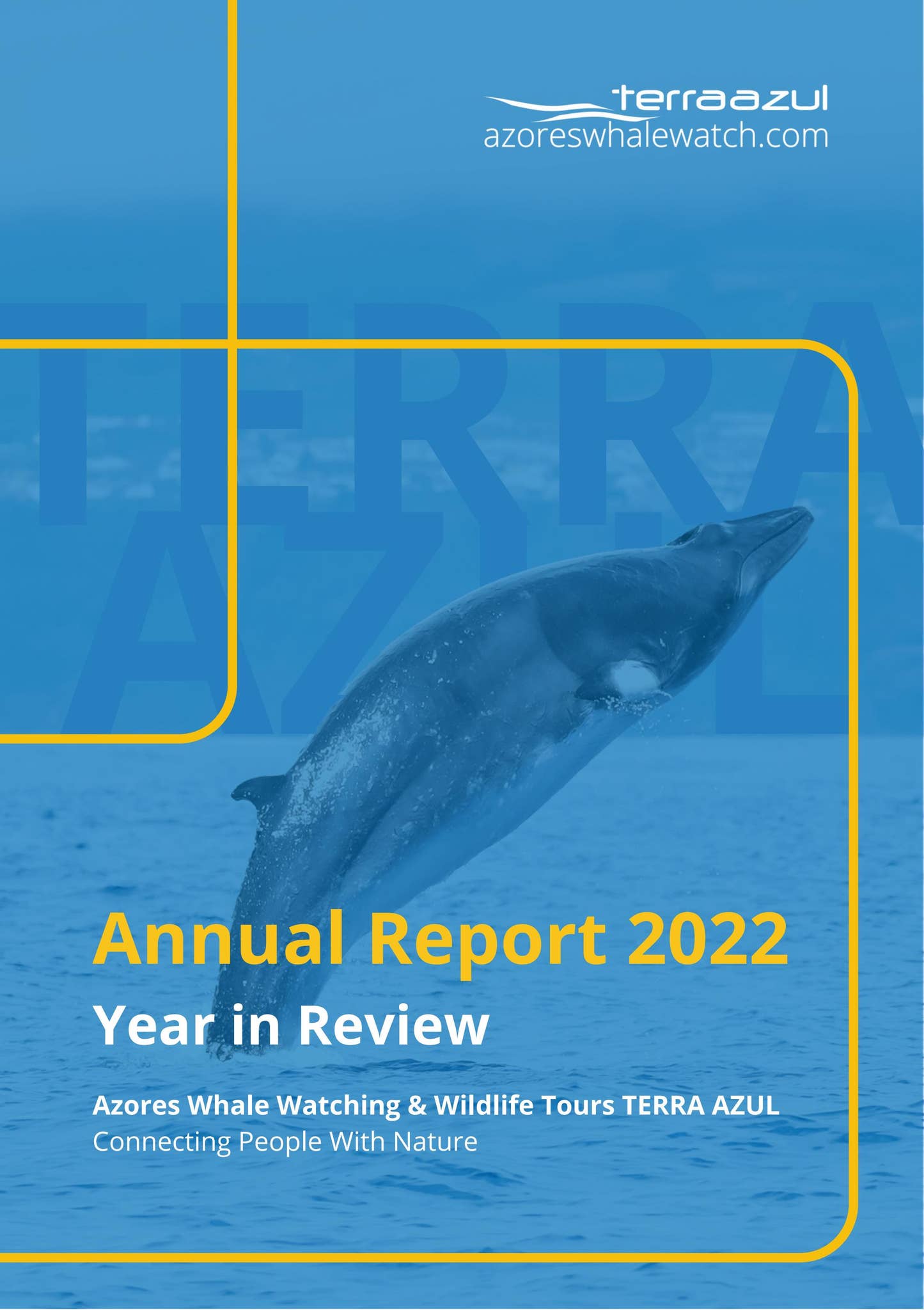 TERRA AZUL Annual Report 2022 - Whales and Wildlife Sightings in Azores ...