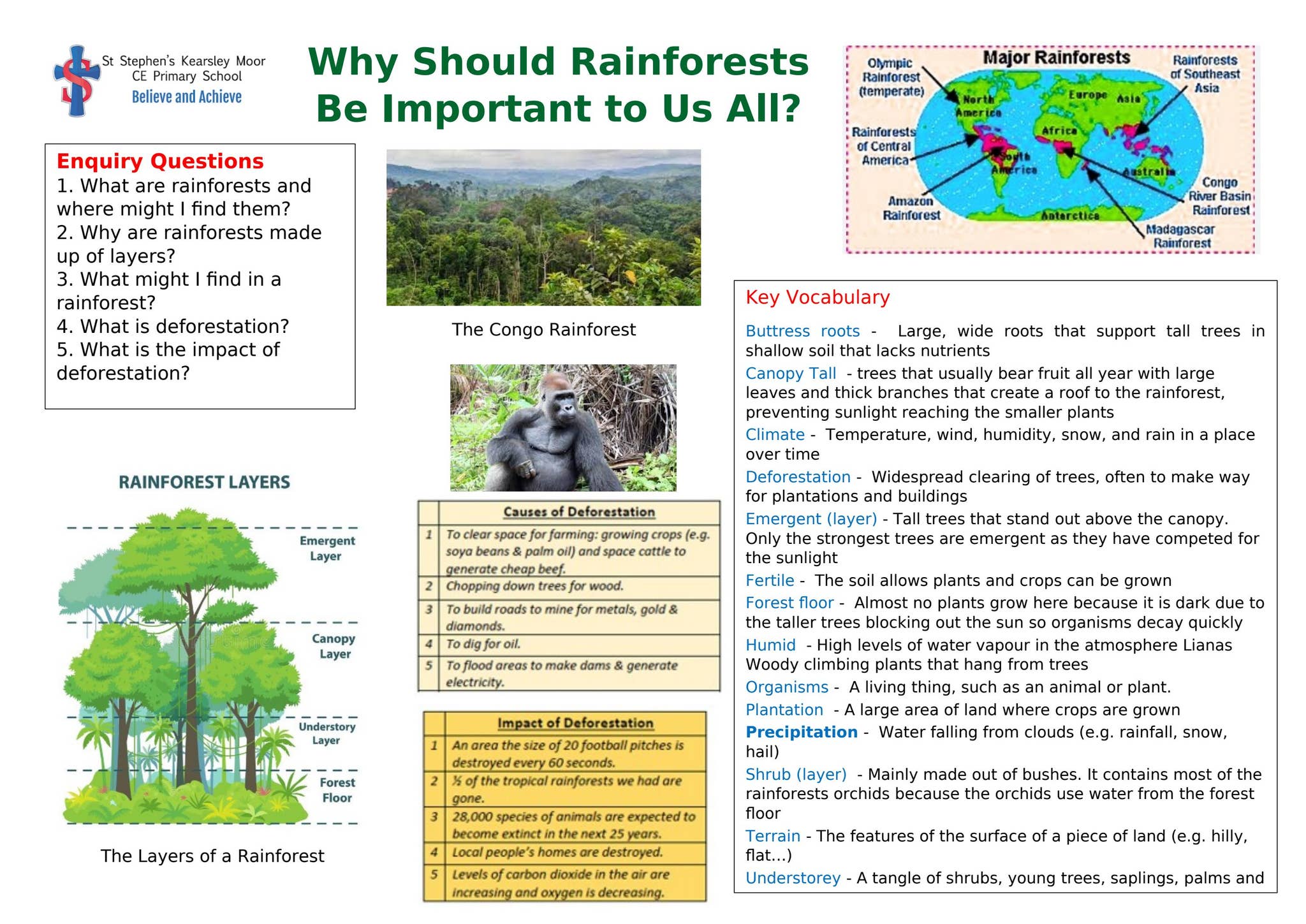 Year 6 Rainforests Organiser by Schudio - Issuu