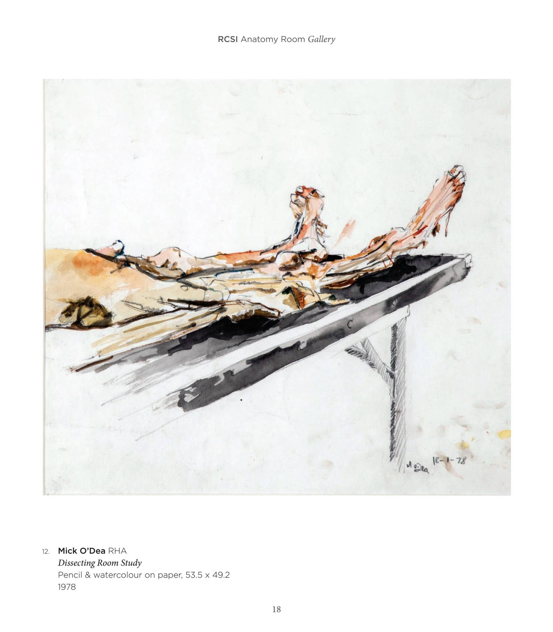 RCSI Anatomy Room Gallery by RCSI - Issuu