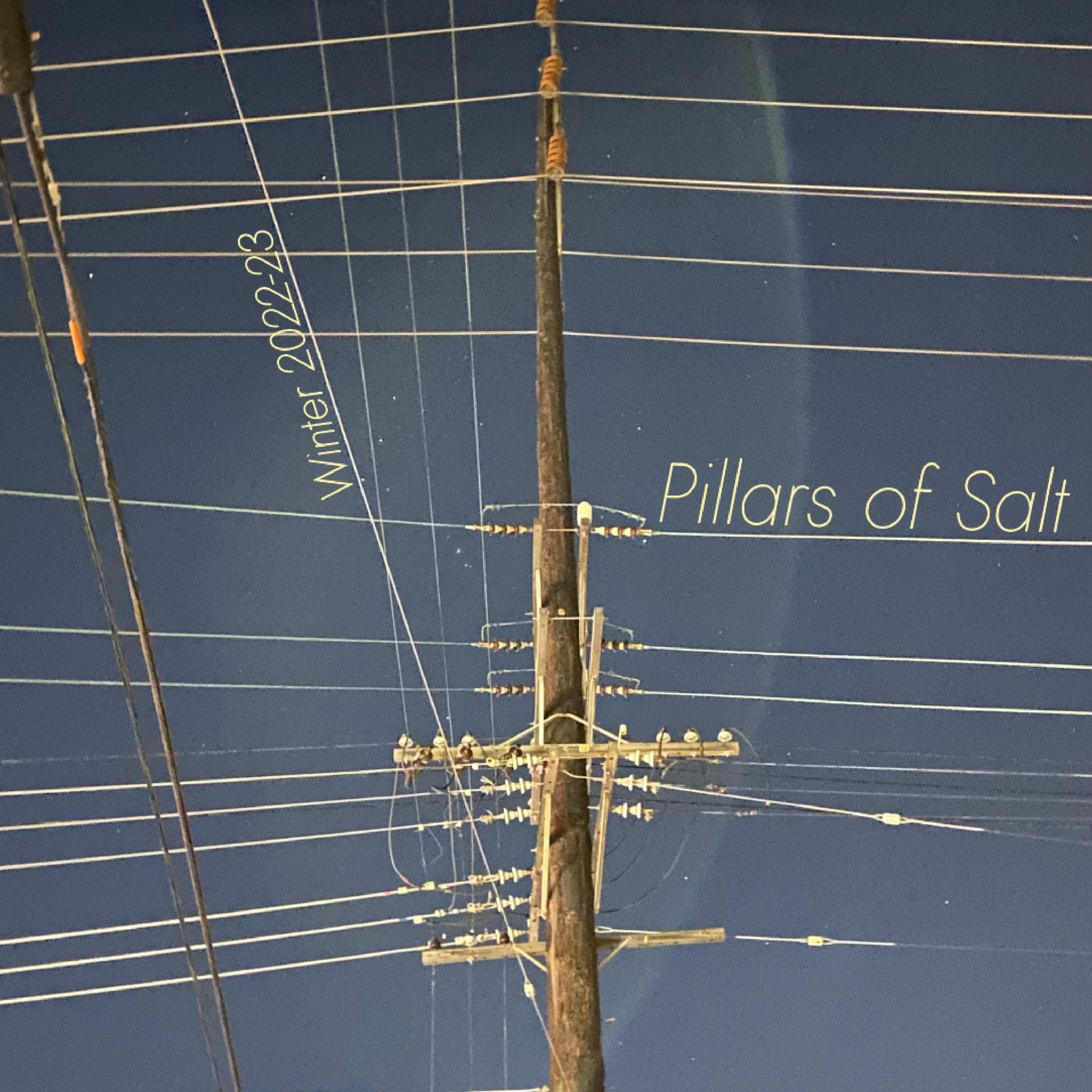 Pillars of Salt Winter 2023 by The Archer School for Girls - Issuu