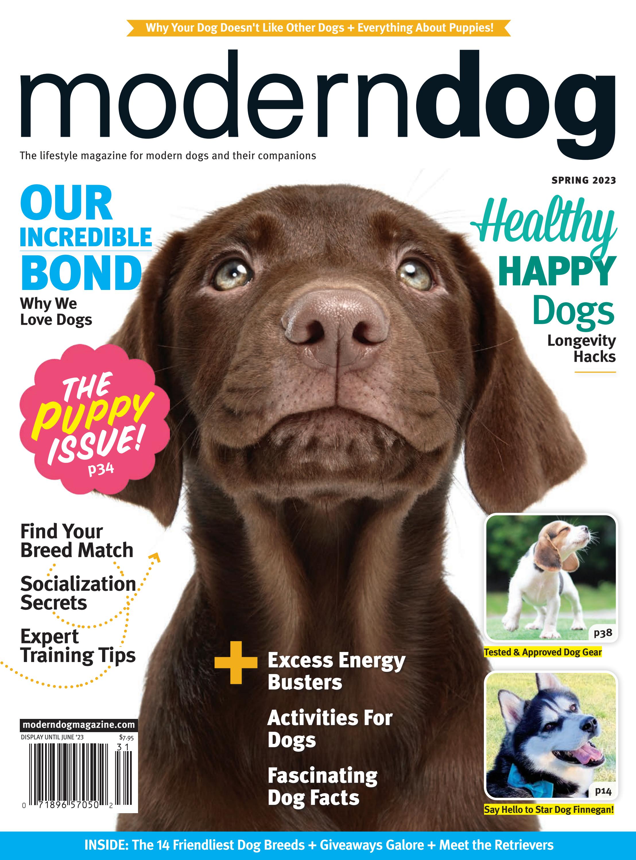 Modern Dog Spring 2023 by Modern Dog Magazine - Issuu