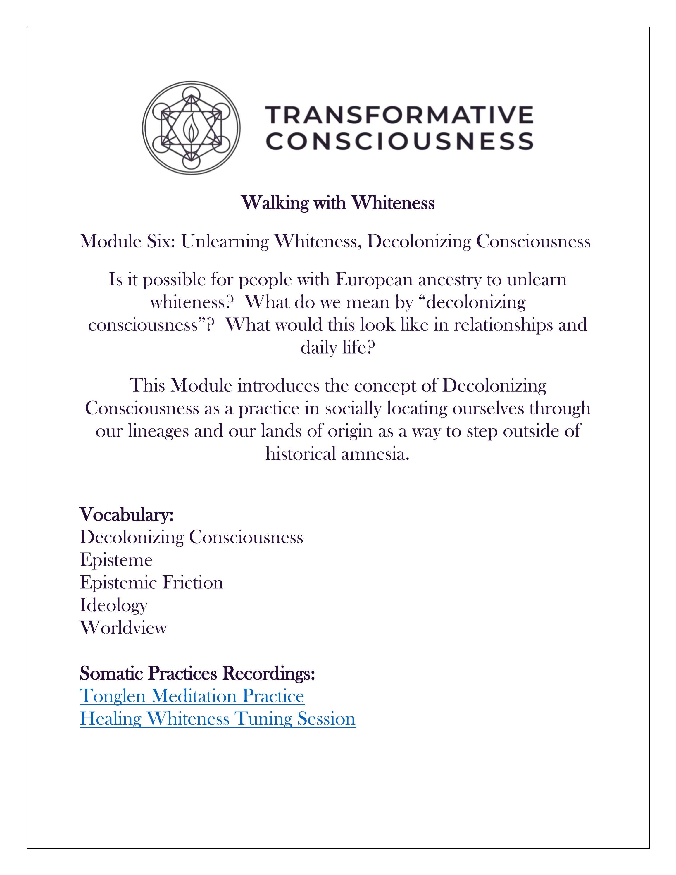 Walking With Whiteness Module Six Self-Study by transformativeconsciousness - Issuu