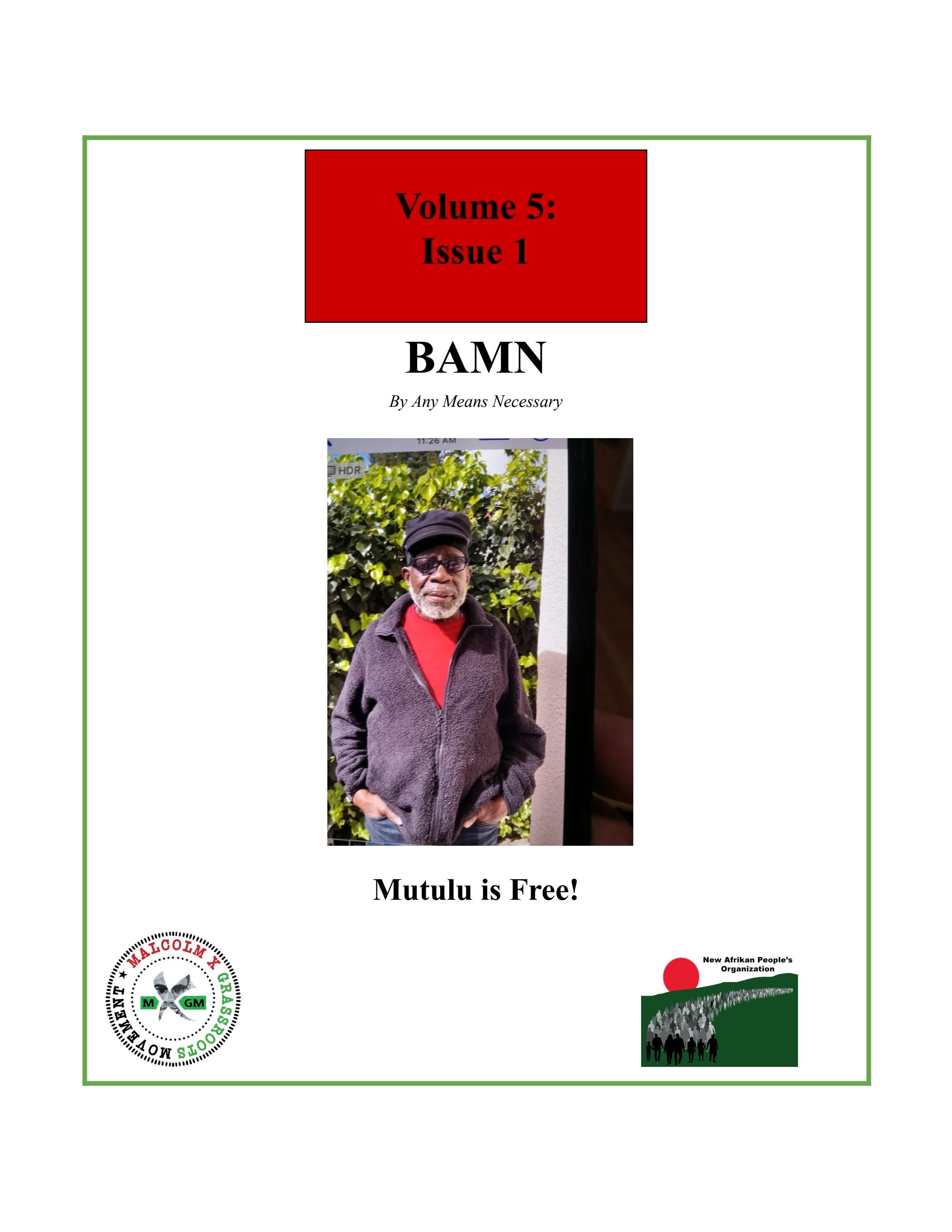 BAMN Volume 5, Issue 1 by center4ideas - Issuu