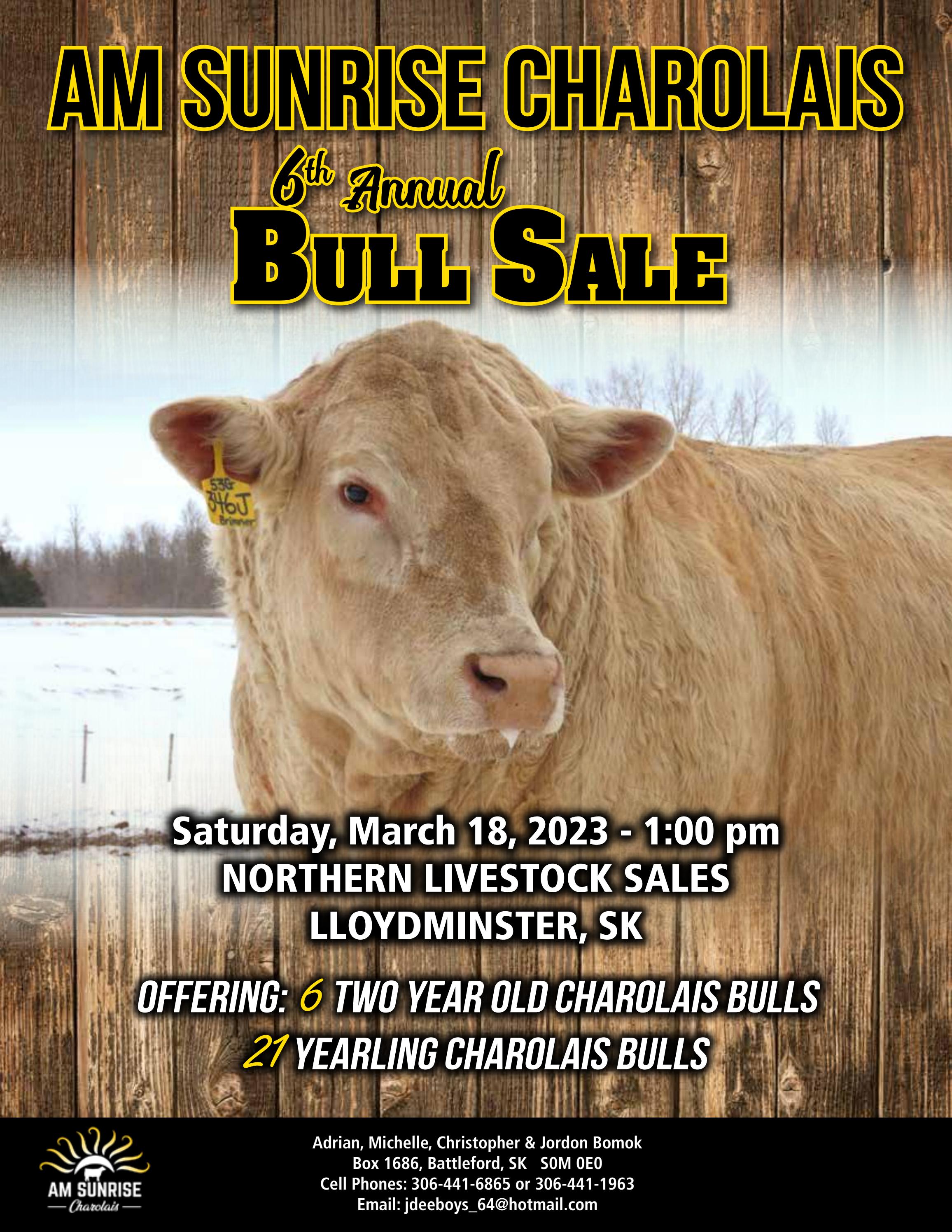 AM Sunrise Charolais Bull Sale 2023 by DLMS-Cattlevids.ca - Issuu
