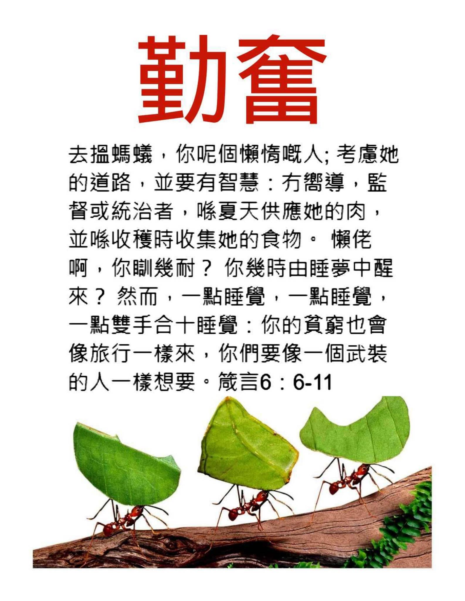 Cantonese Traditional Motivational Diligence Tract by Filipino Tracts ...