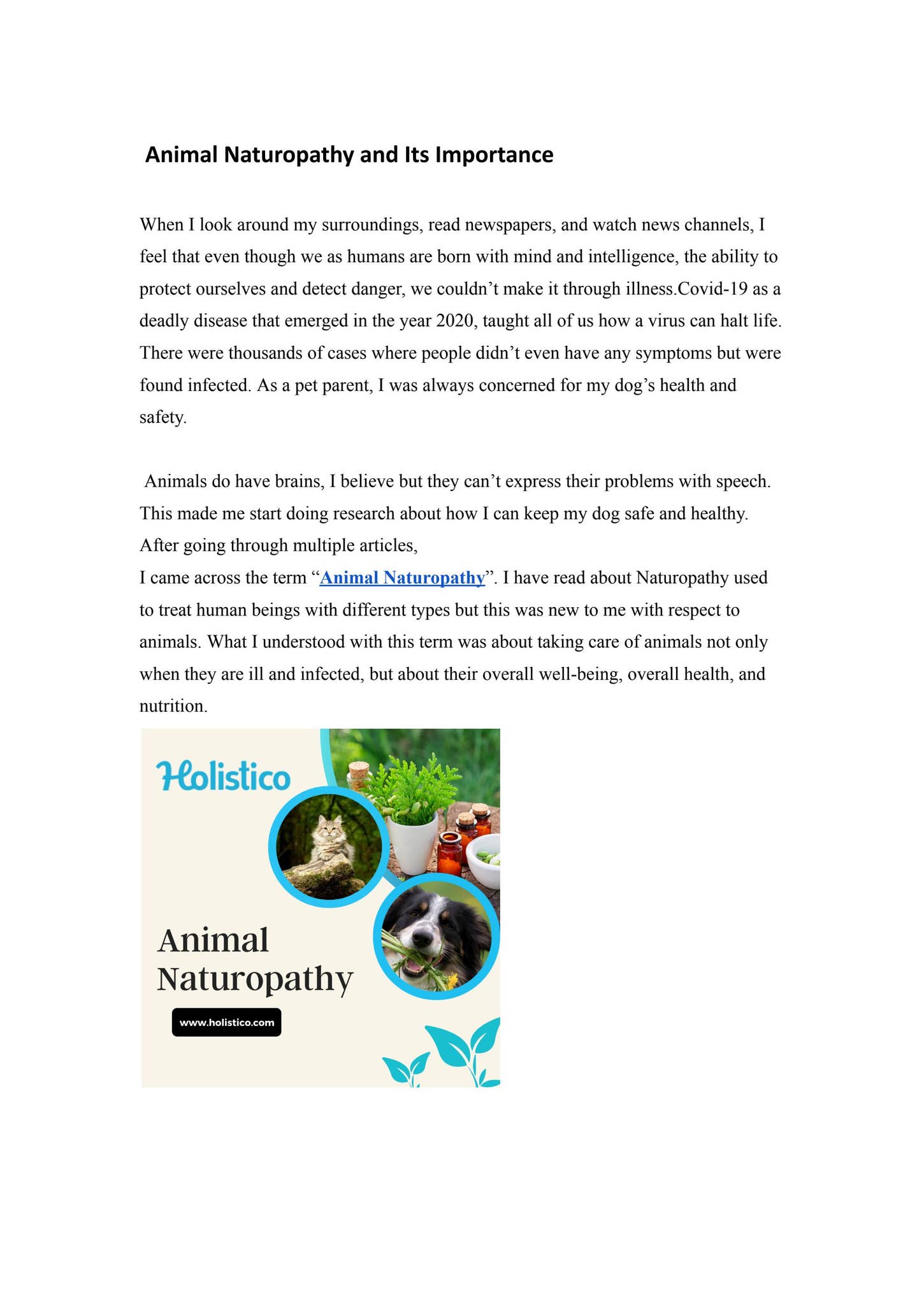 Animal Naturopathy - Holistico.com by holistico - Issuu