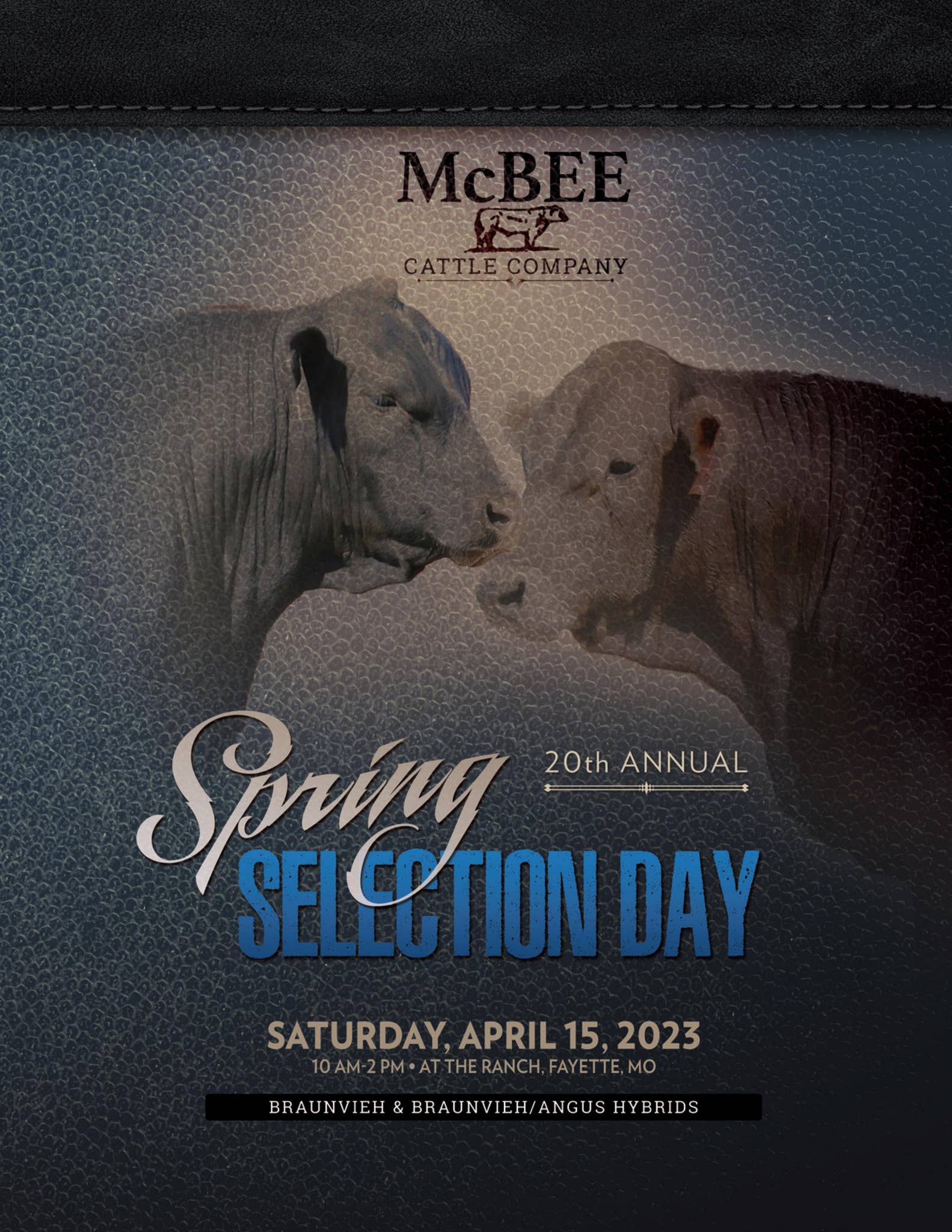 McBee Cattle Co 2023 Spring Selection Day by Monti West Design - Issuu