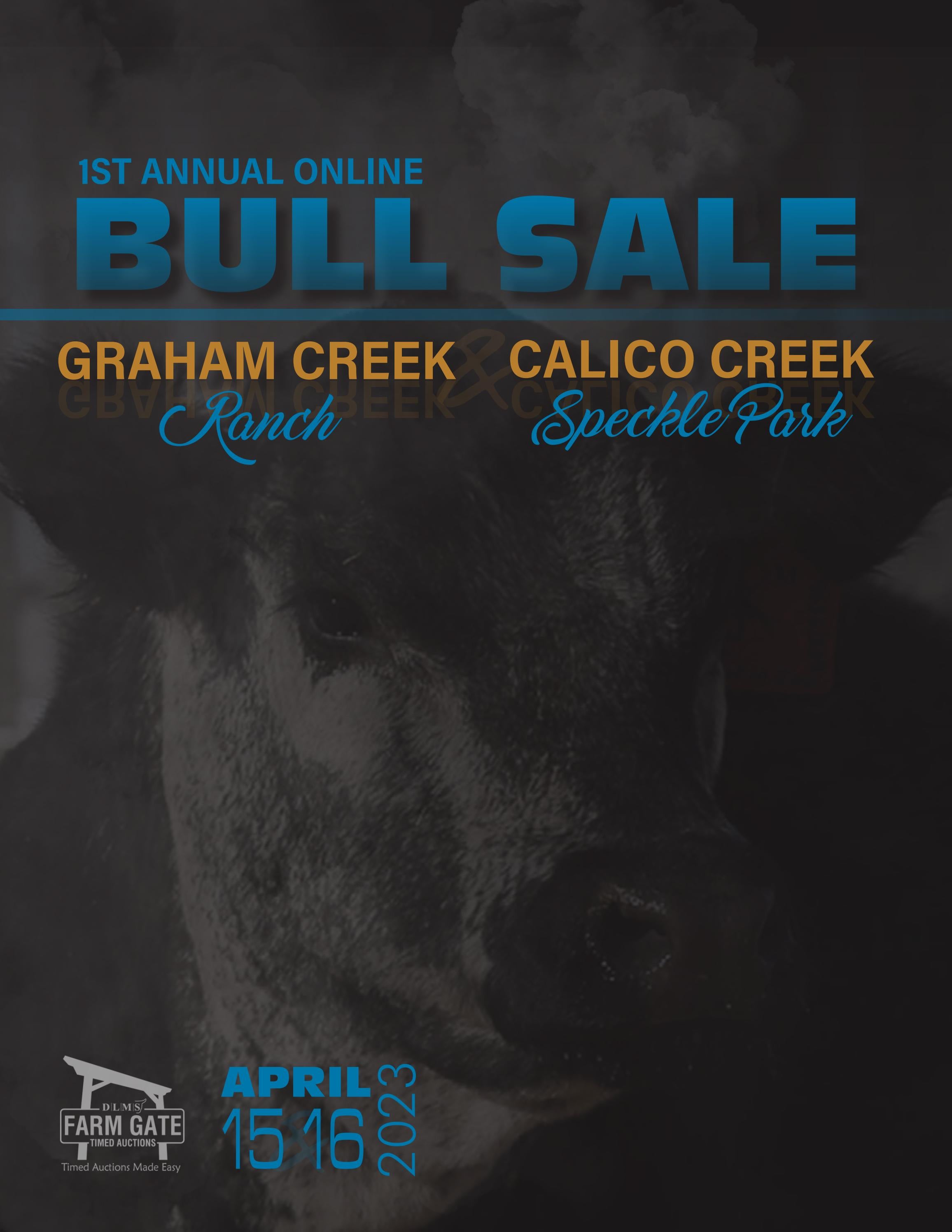 Calico Graham Bull Sale 2023 by Today's Publishing Inc. - Issuu