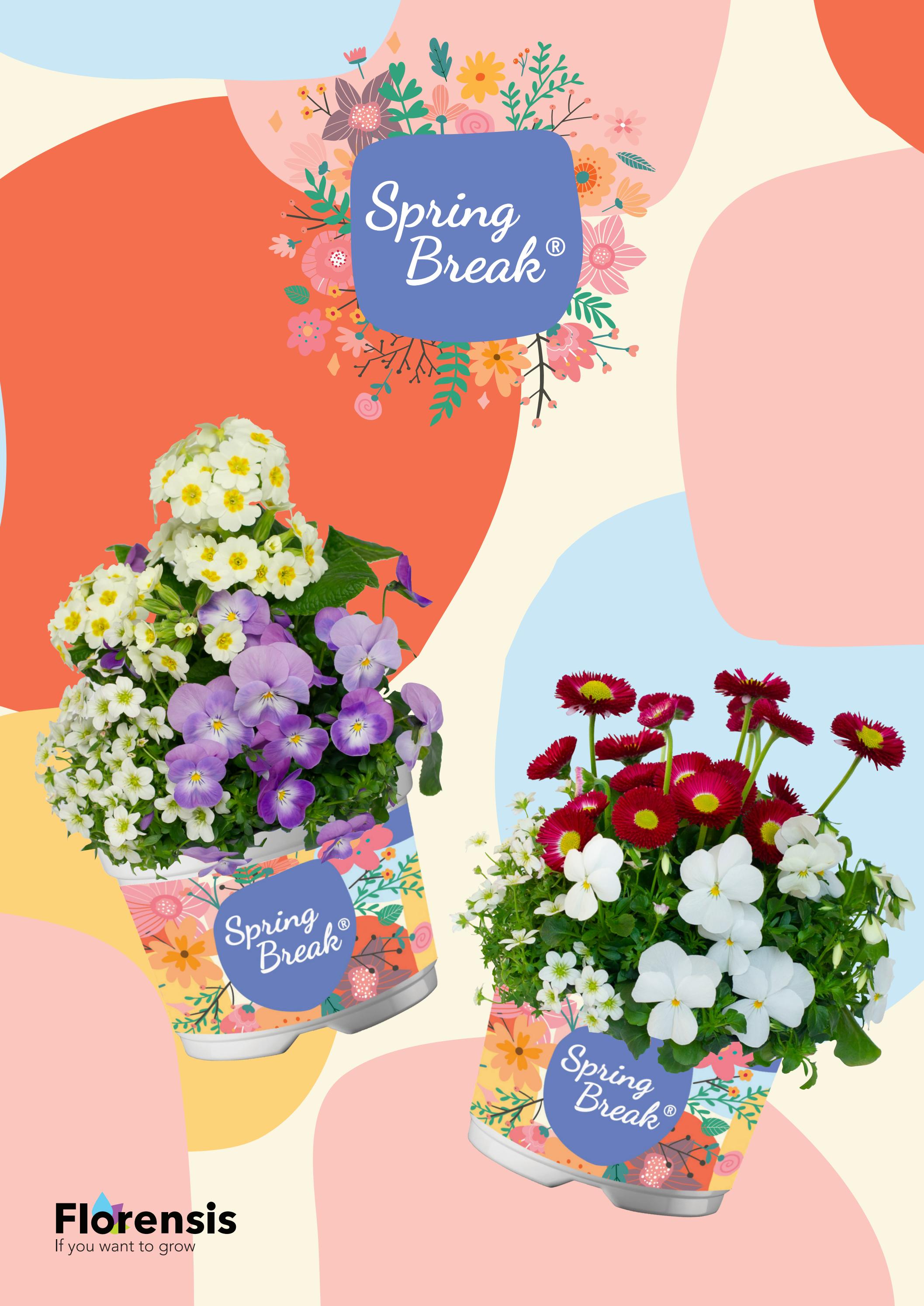 Florensis | Spring Break by Florensis - Issuu