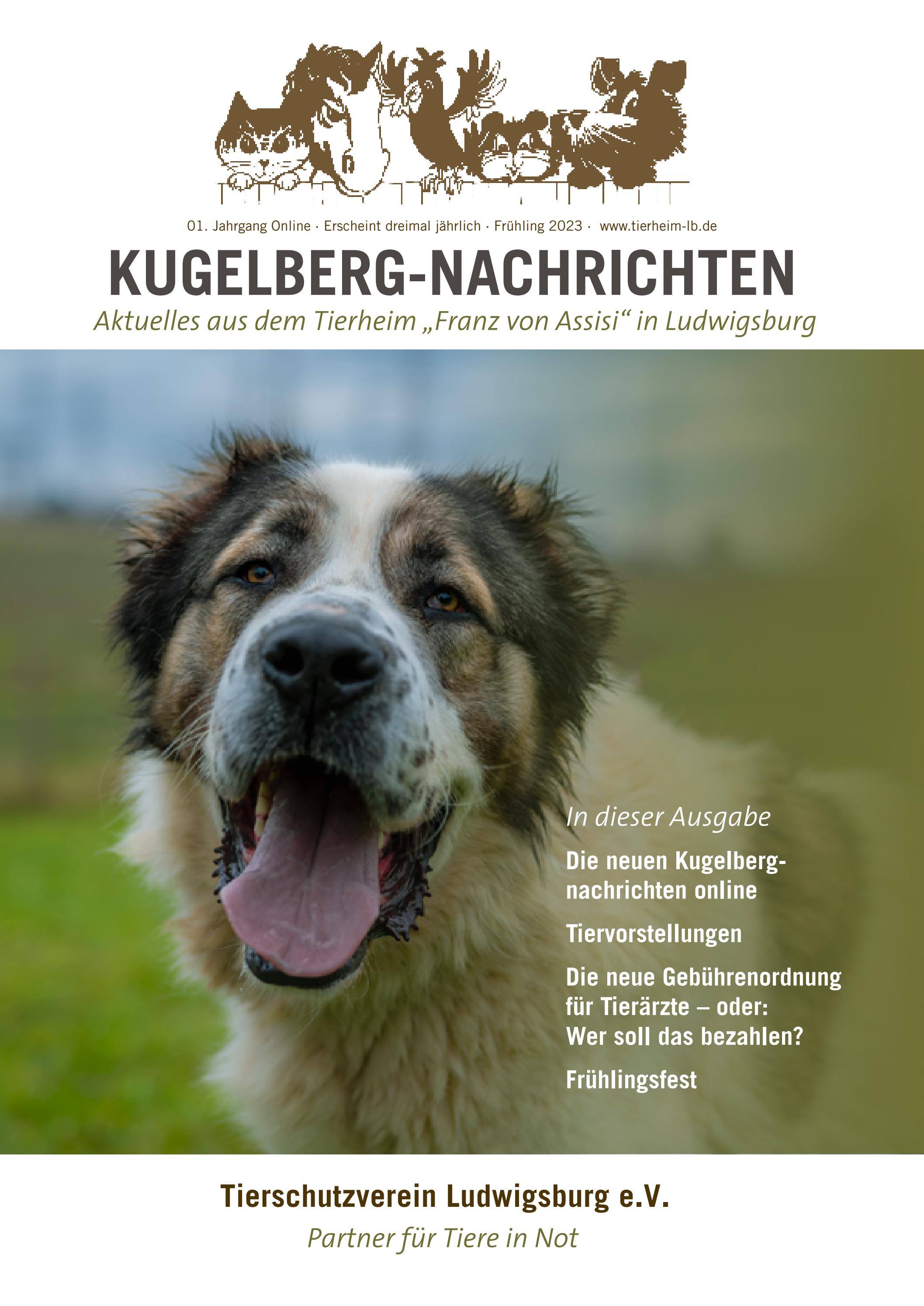 Kugelberg-Nachrichten 2023-01 by Tierschutzverein Ludwigsburg e.V. - Issuu