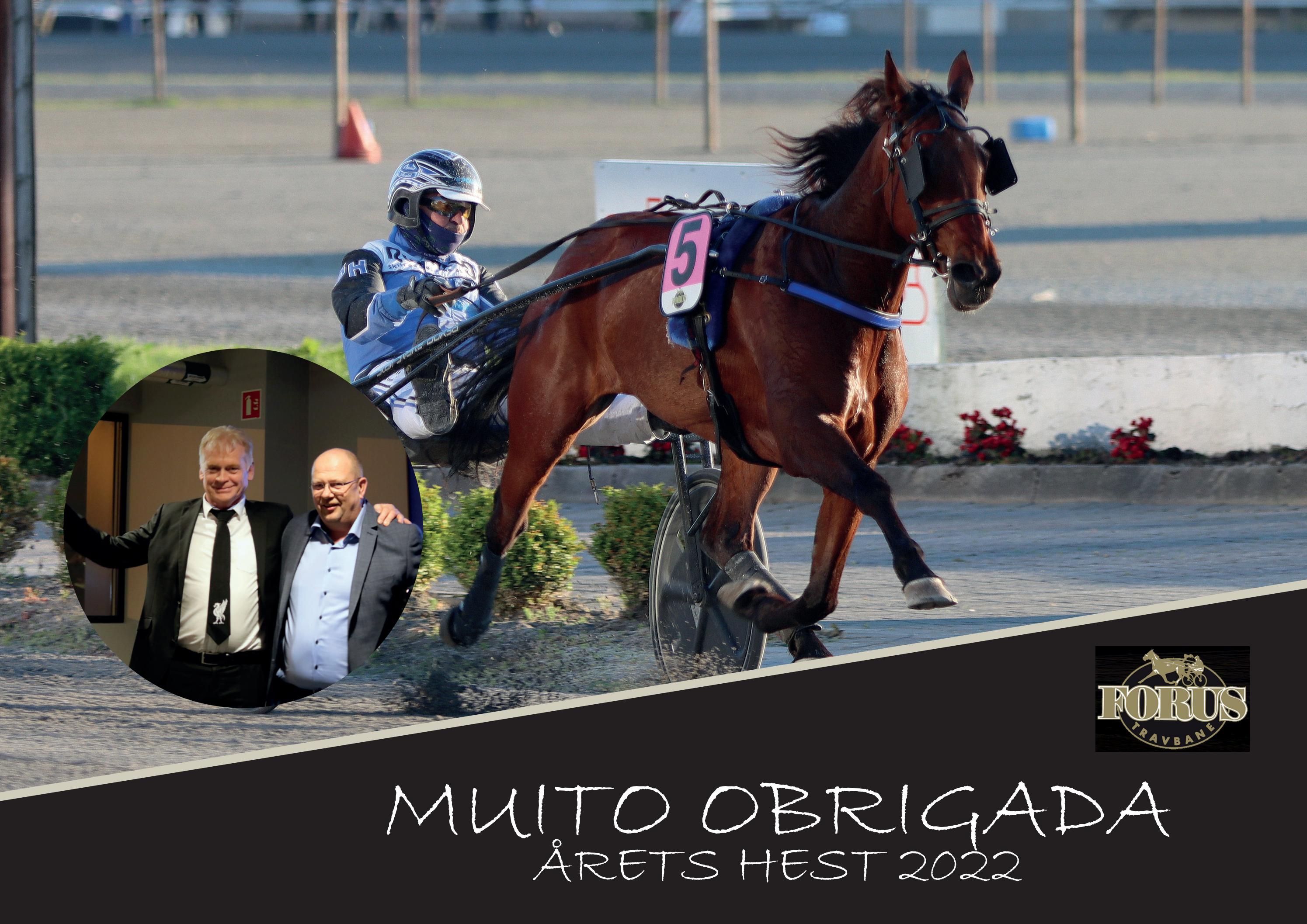 Travgalla_Forus_2022_bilder by rikstoto - Issuu