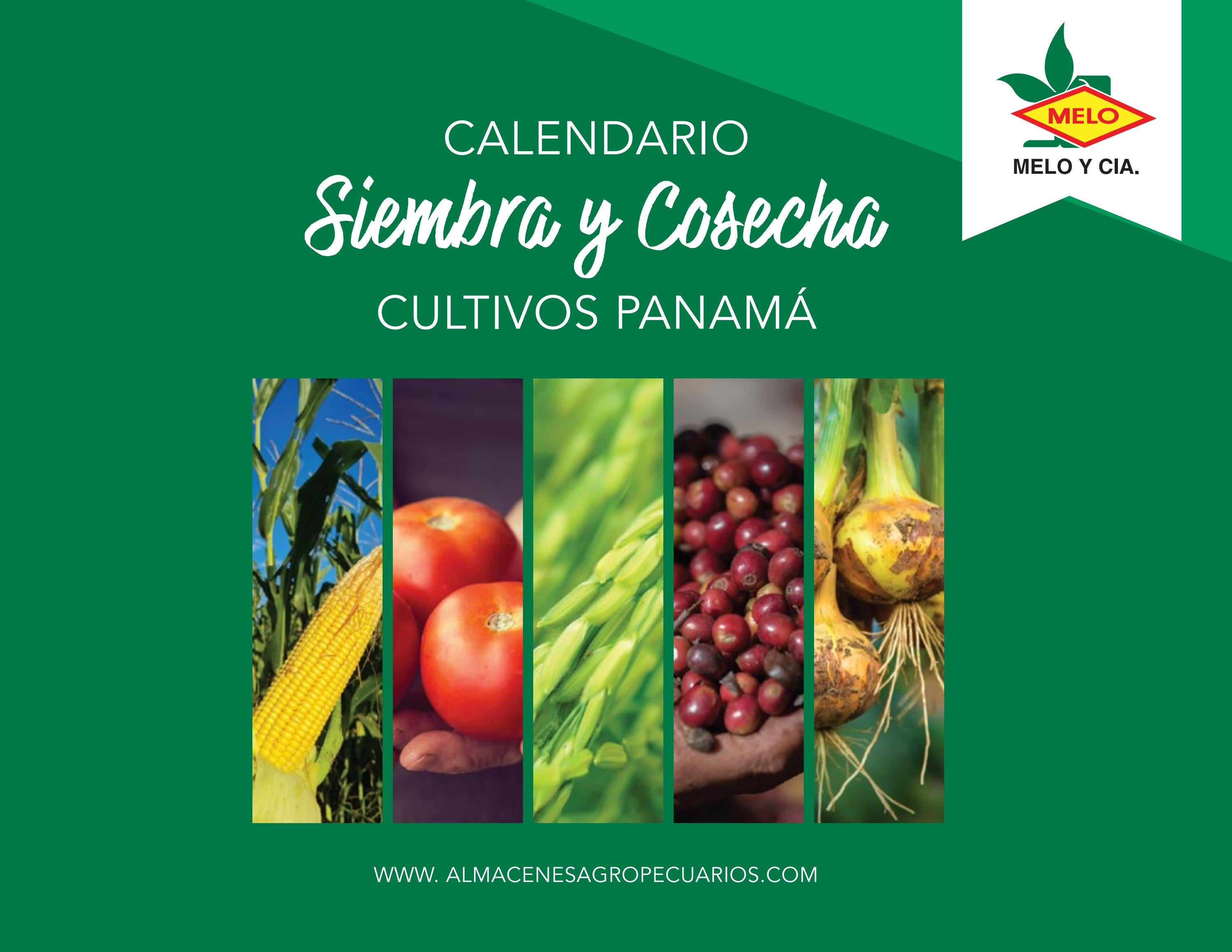 Calendario Siembra y Cosecha by comasapanama - Issuu