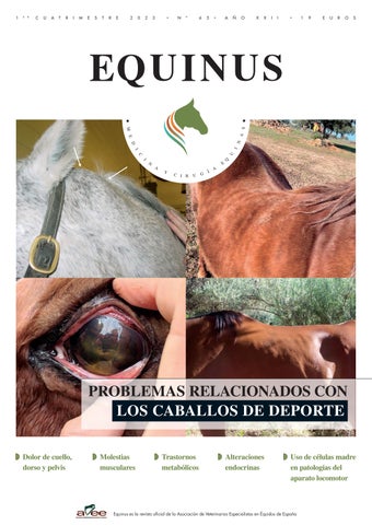 1 EN ESTE NÚMERO - Issuu