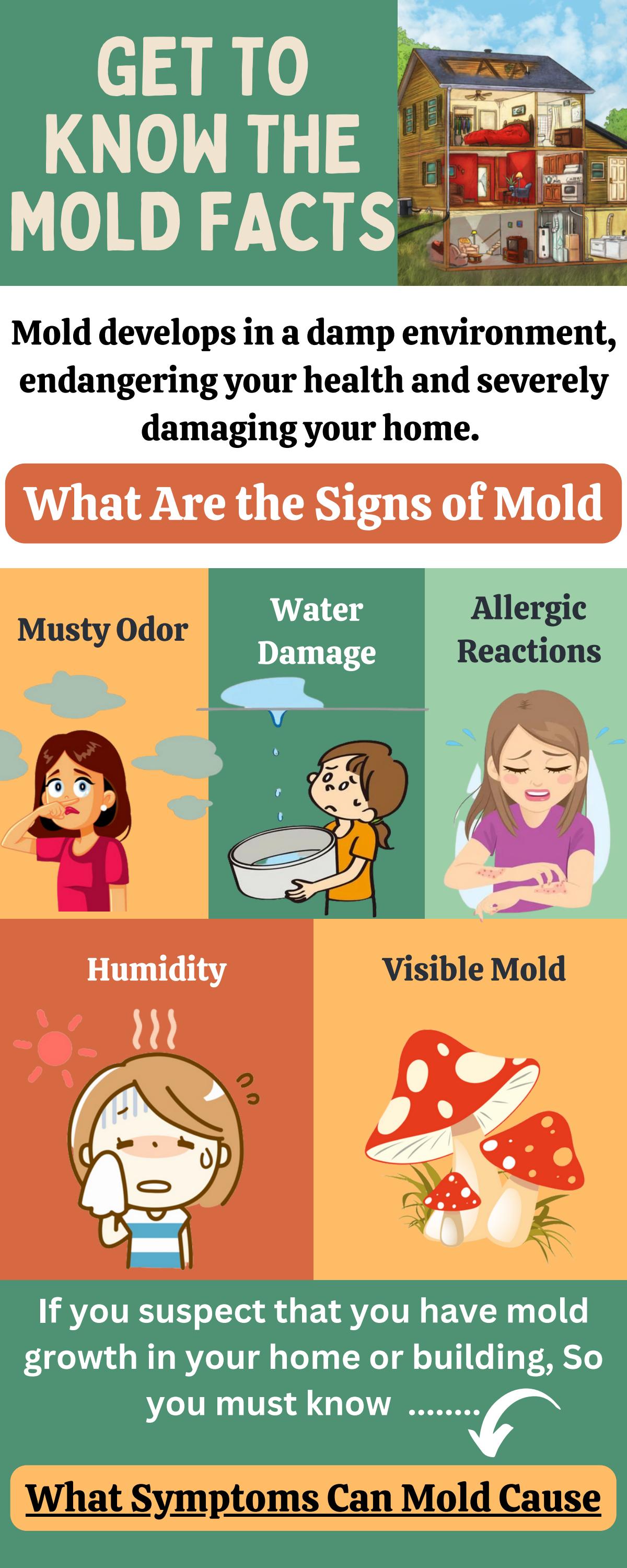 Get to Know the Facts About Mold by JM Environmental, Inc. - Issuu