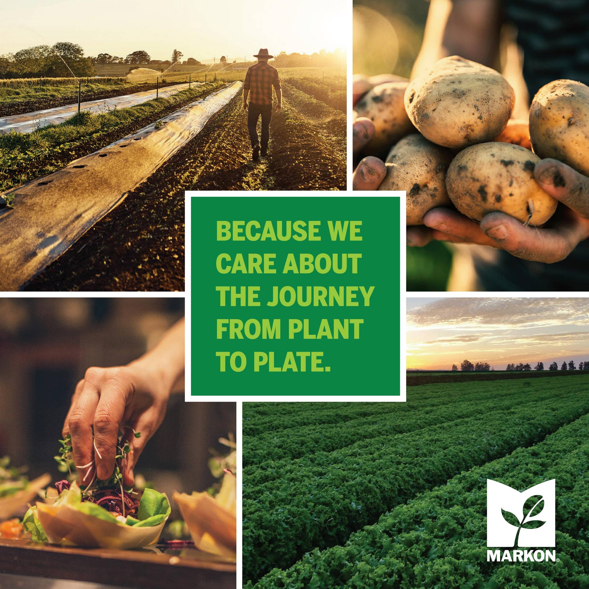 Markon ID Produce Catalog April 2021.pdf by Shamrock - Issuu