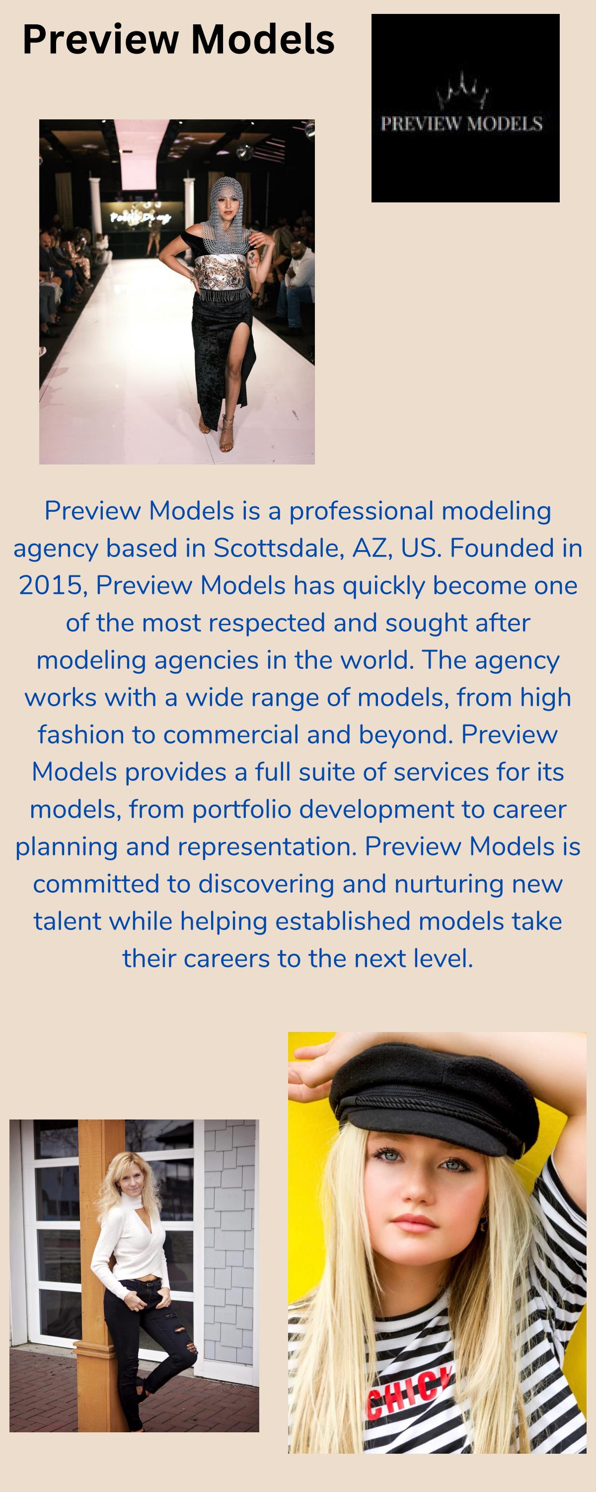 The preview model had top-notch support for the models.-Preview Models ...