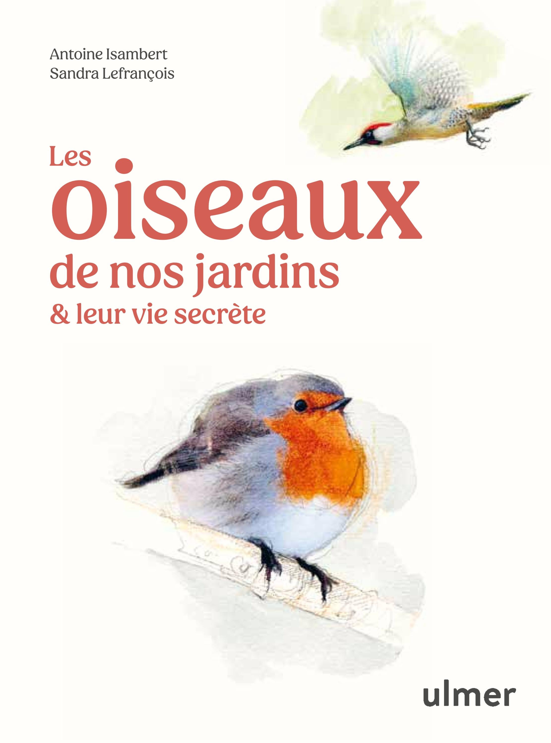 Extrait Les oiseaux de nos jardins, villes & village - Éditions Ulmer by Éditions Ulmer - Issuu