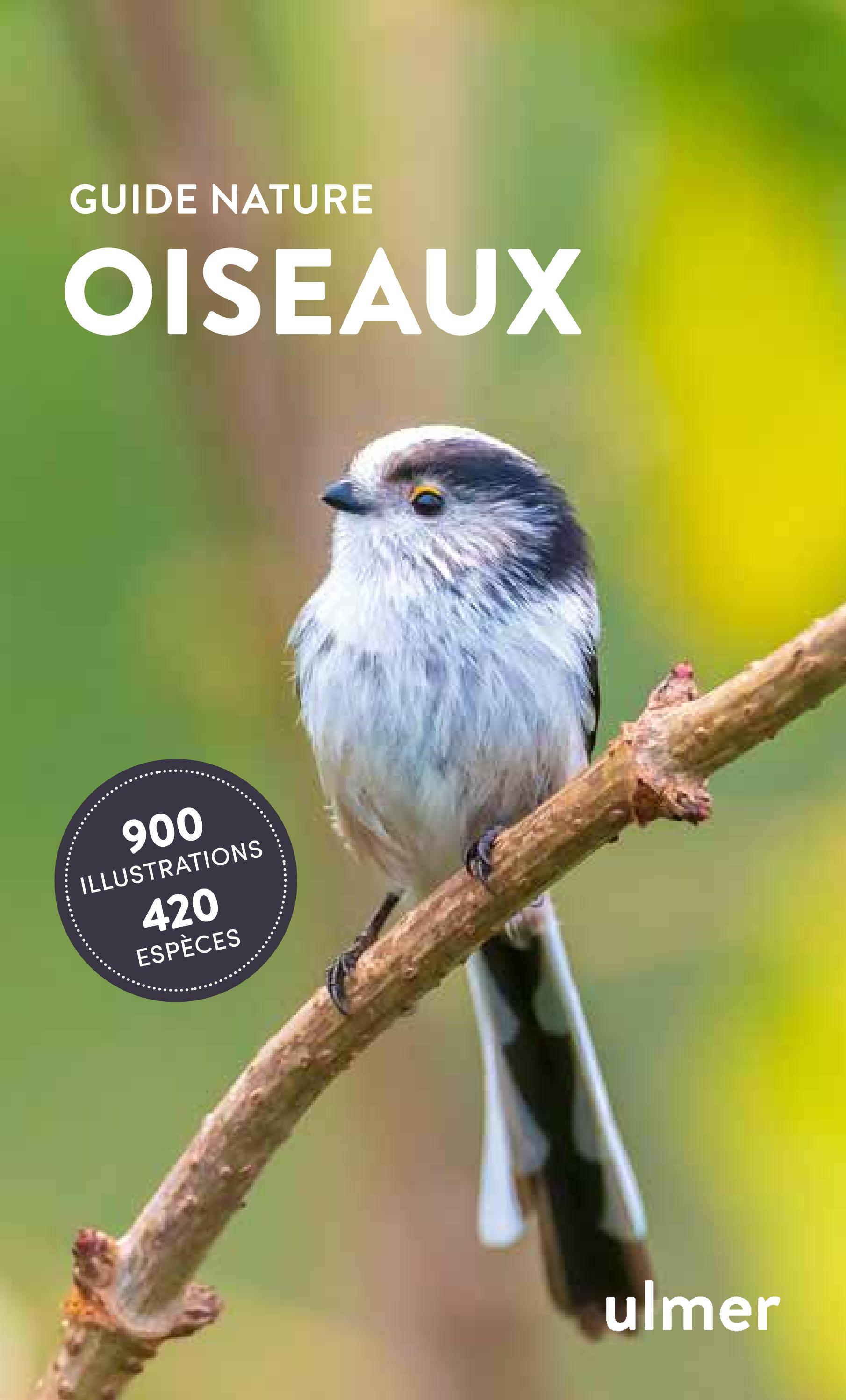 Extrait Oiseaux - Éditions Ulmer by Éditions Ulmer - Issuu