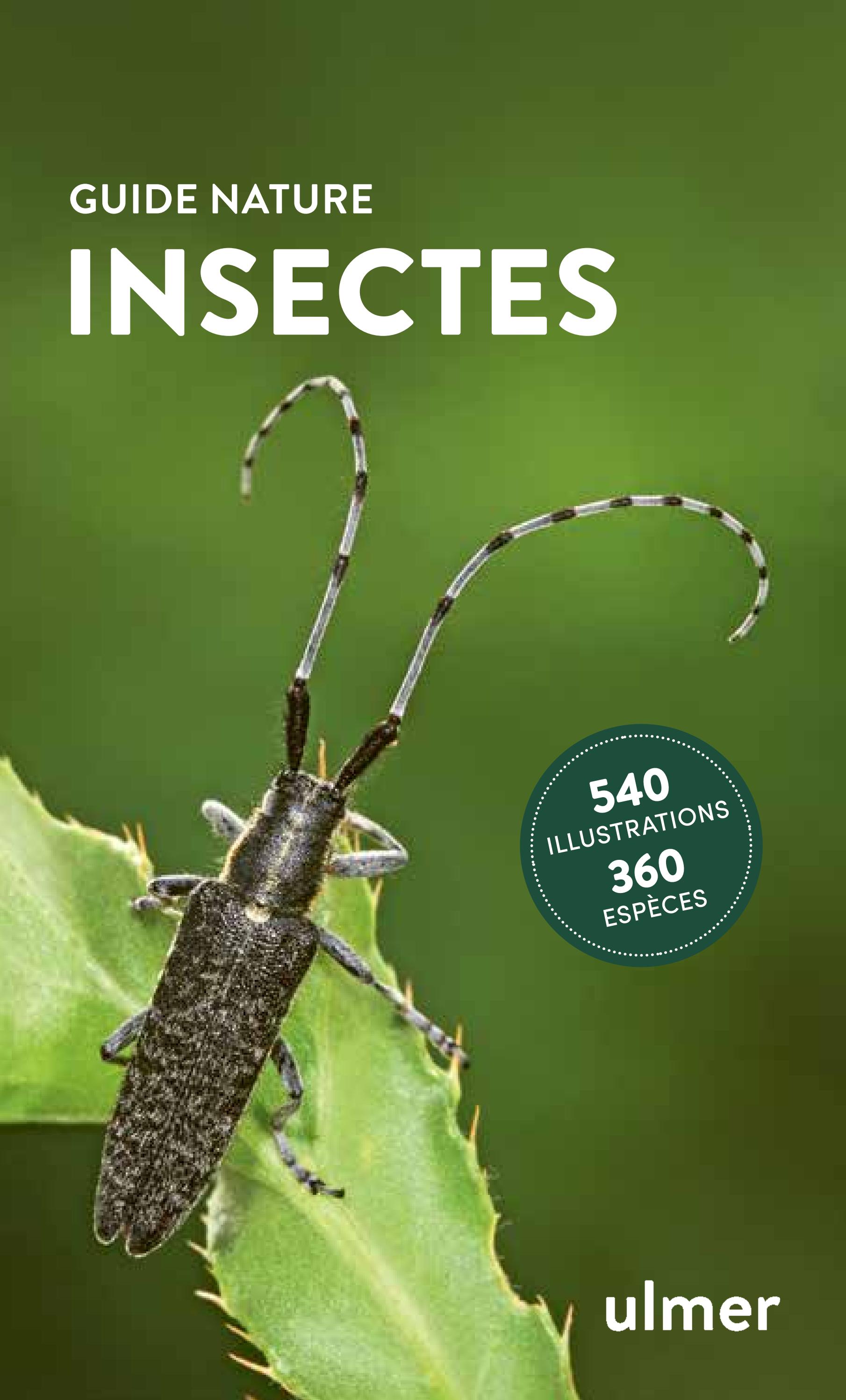 Extrait Insectes - Éditions Ulmer by Éditions Ulmer - Issuu