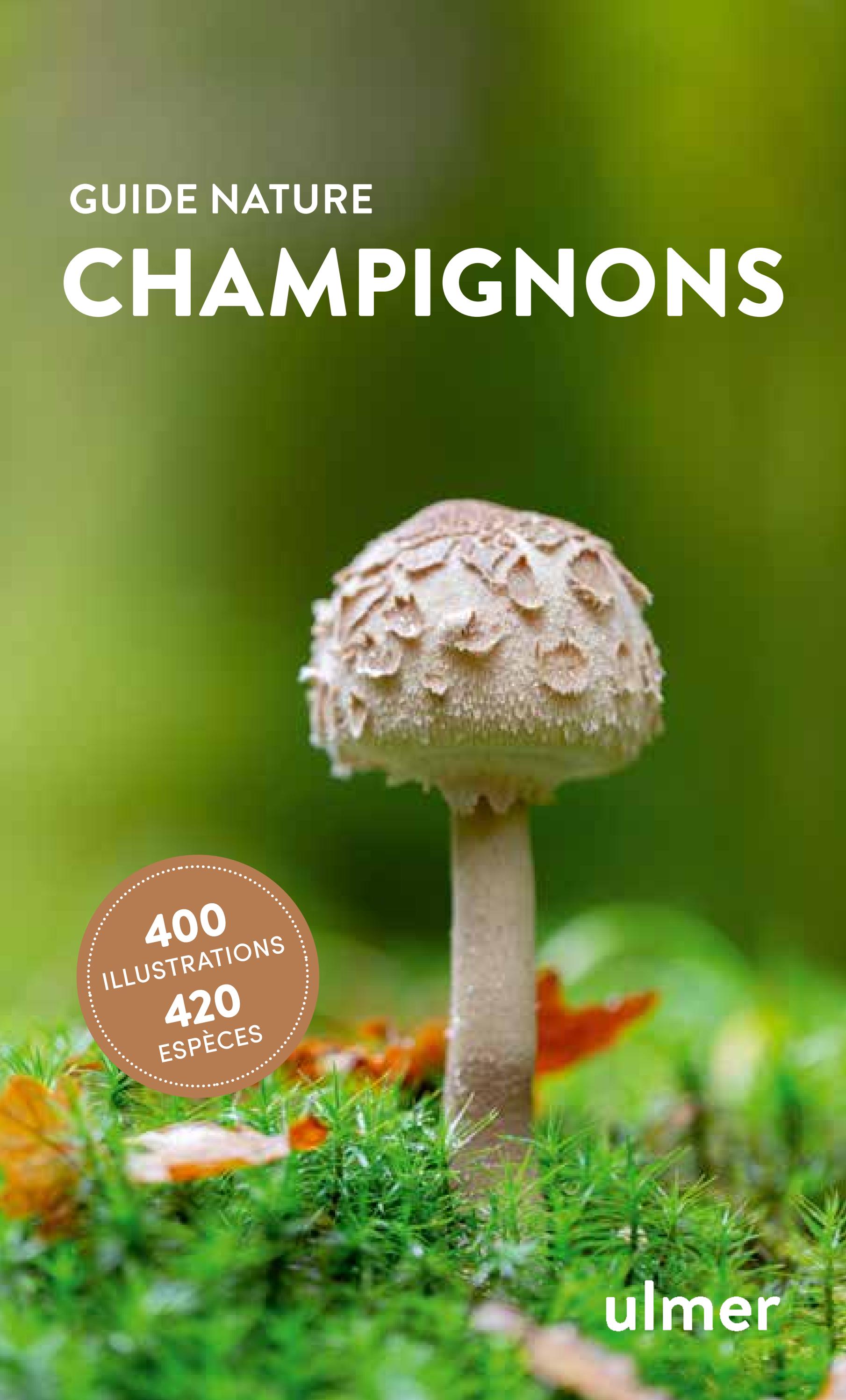 Extrait Champignons - Éditions Ulmer by Éditions Ulmer - Issuu