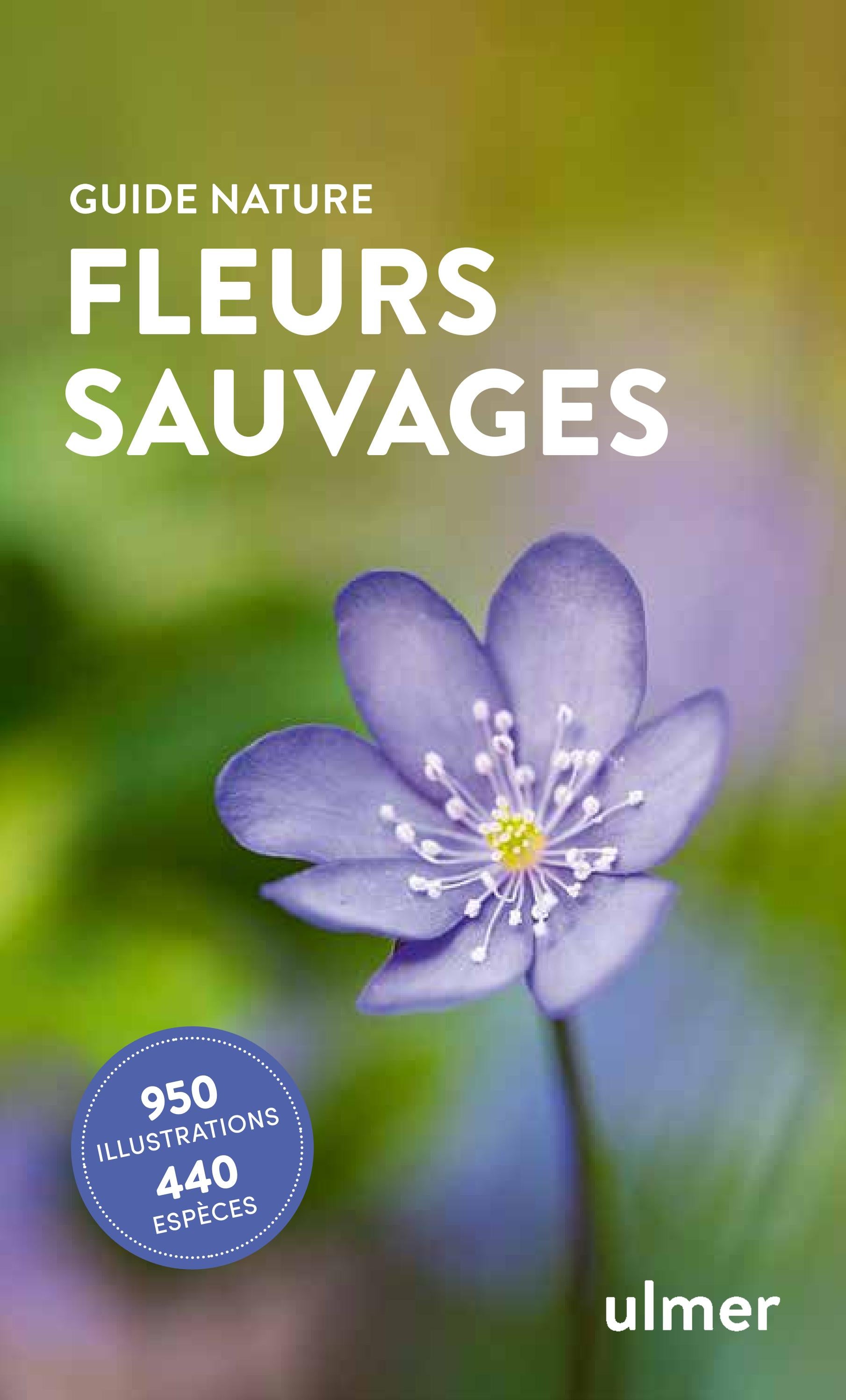 Extrait Fleurs sauvages - Éditions Ulmer by Éditions Ulmer - Issuu