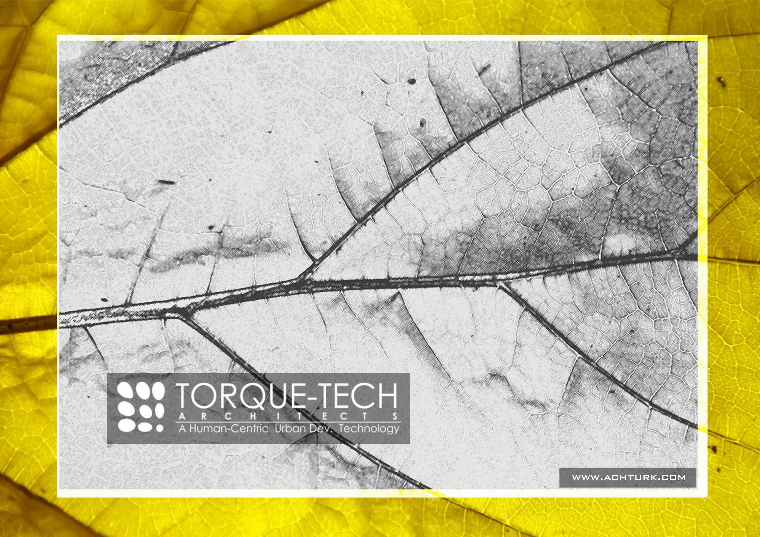 TORQUE-TECH ARCHITECTS by Mahmoud Ragai Turk - Issuu