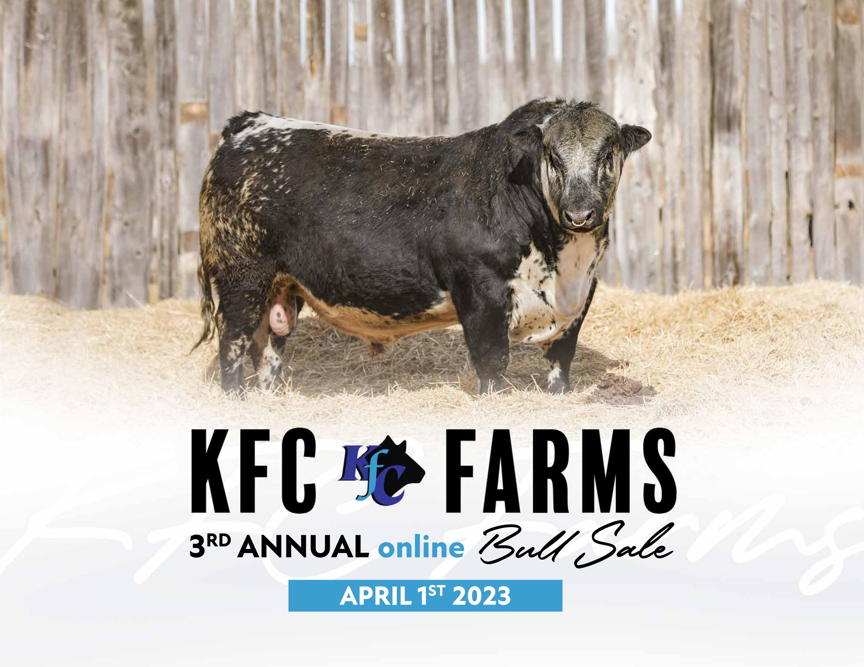 KFC Farms 3rd Annual Online Bull Sale by Highpoint Design - Issuu