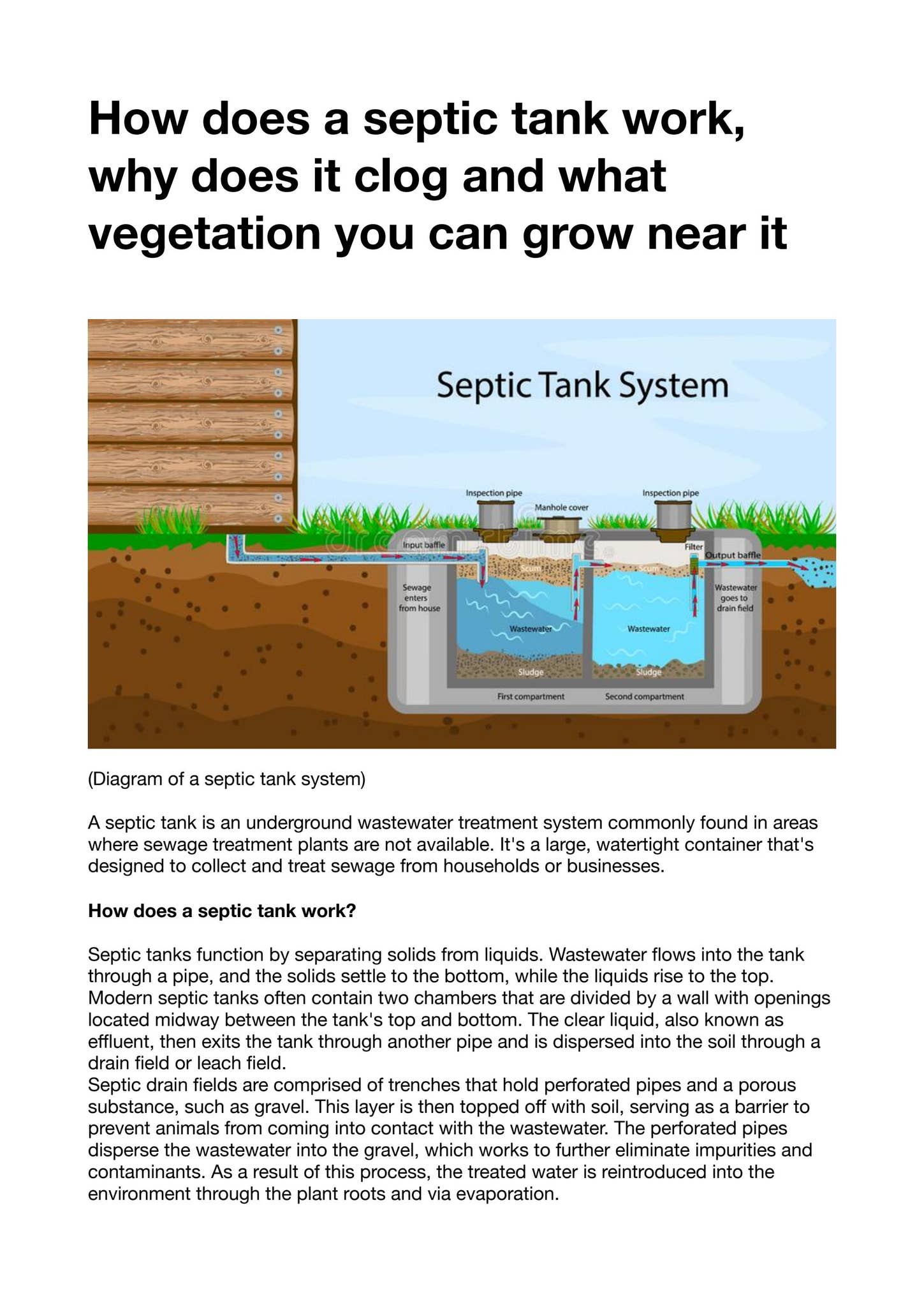 Find out how does a septic tank work, why does it clog and what ...