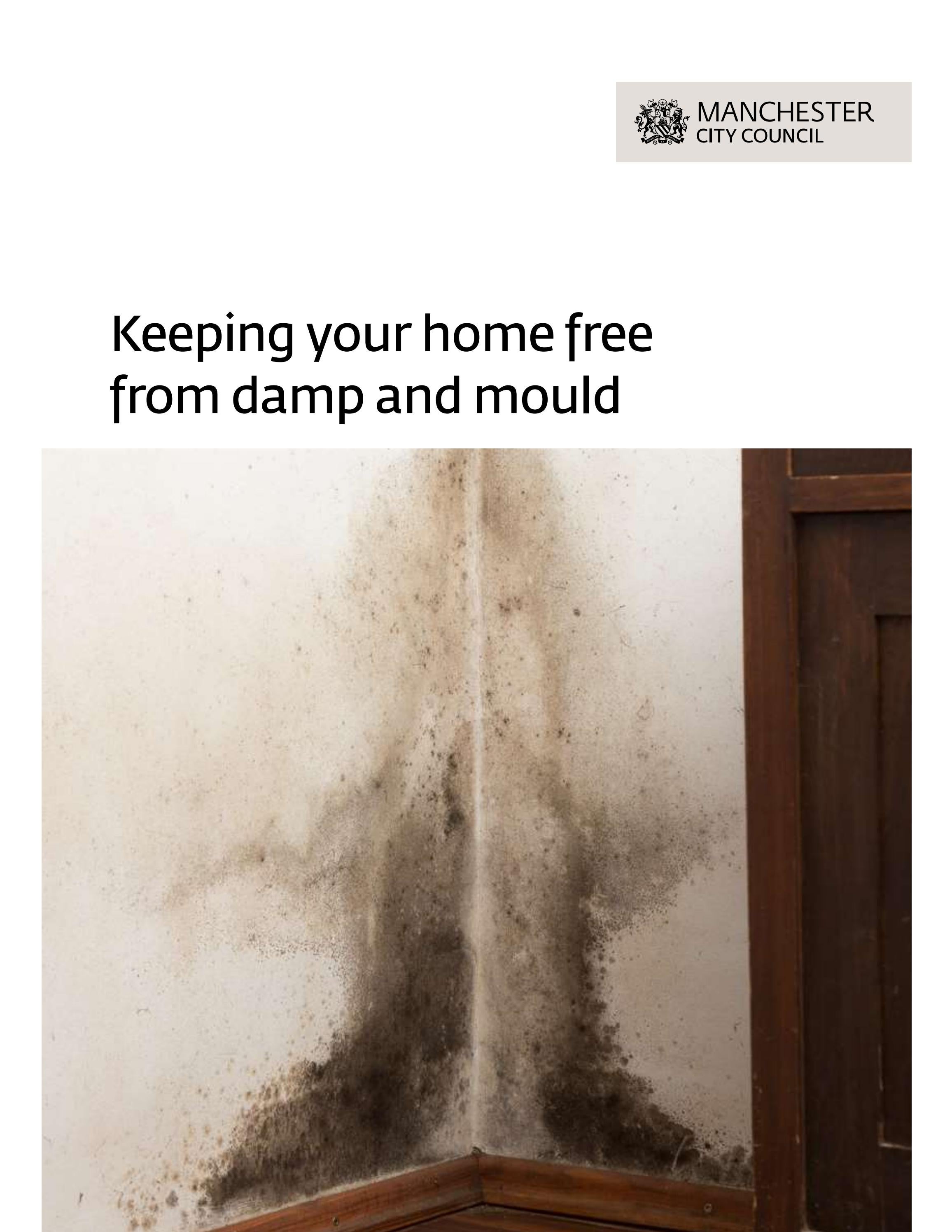 How to Keep Your Home Mould Free by Schudio - Issuu